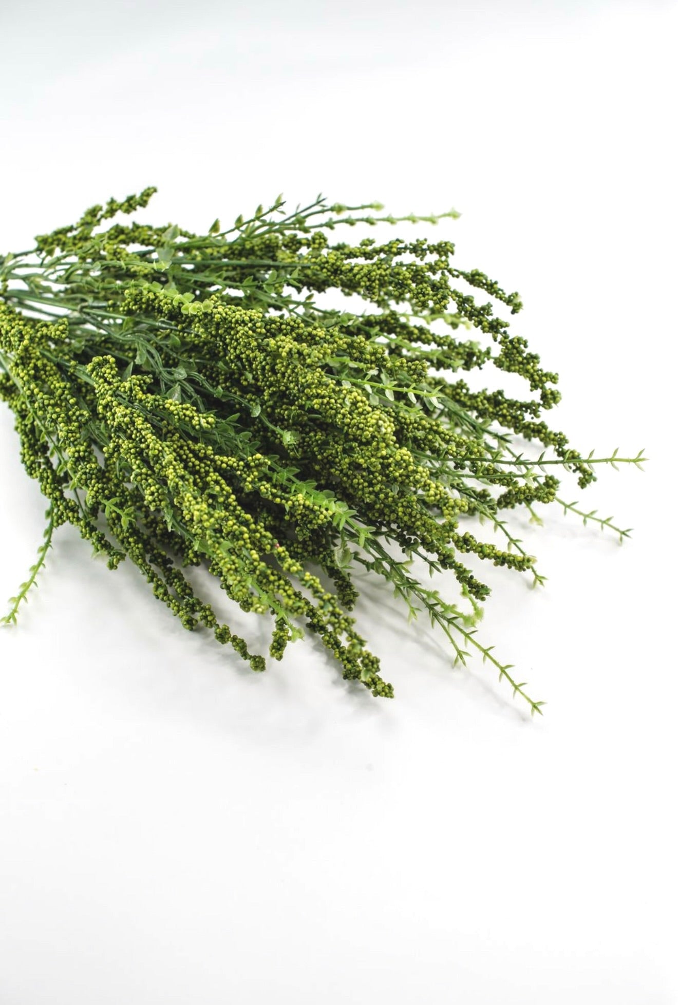 Green filler flower bush - Greenery Market