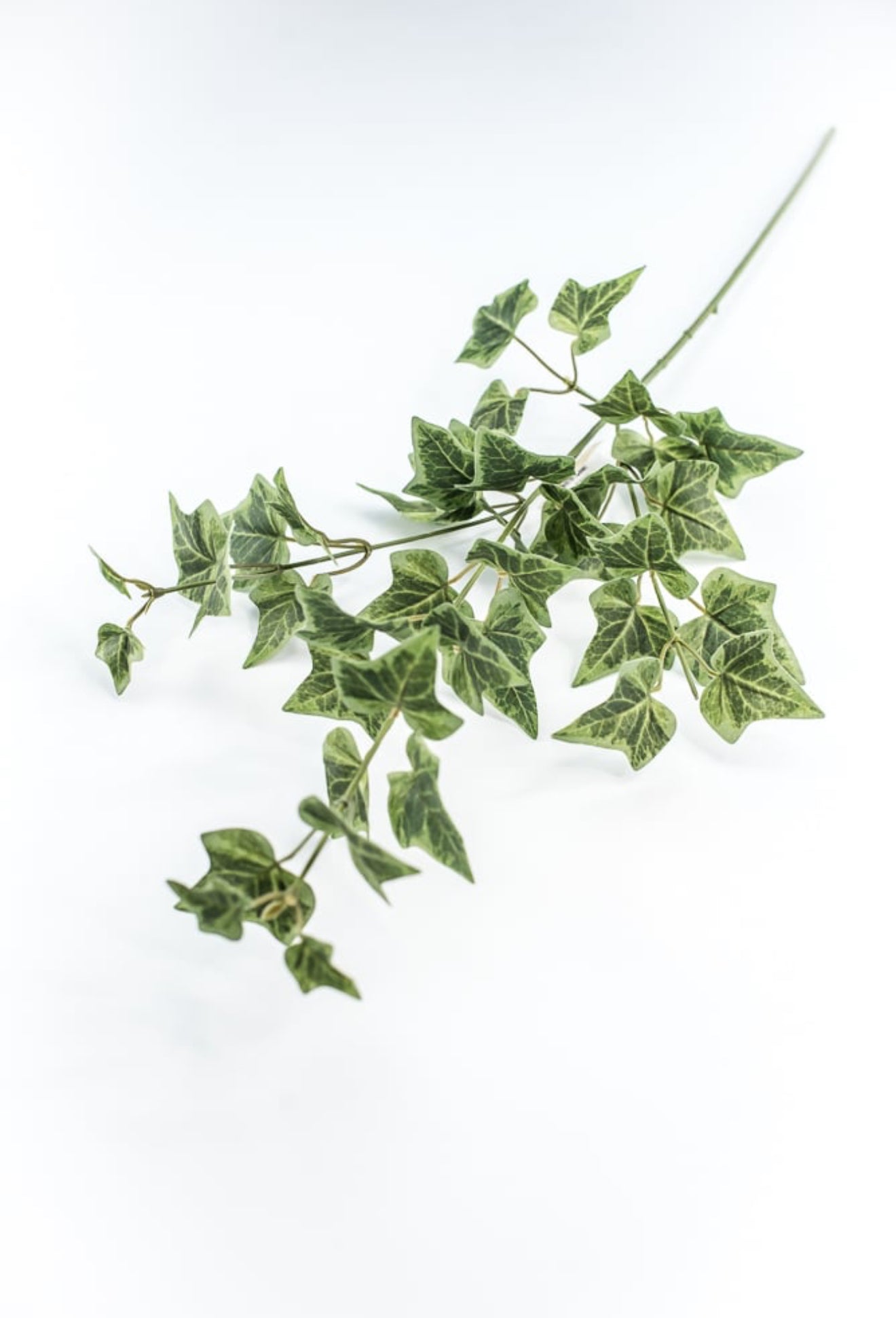 Green Ivy Spray - Greenery Market