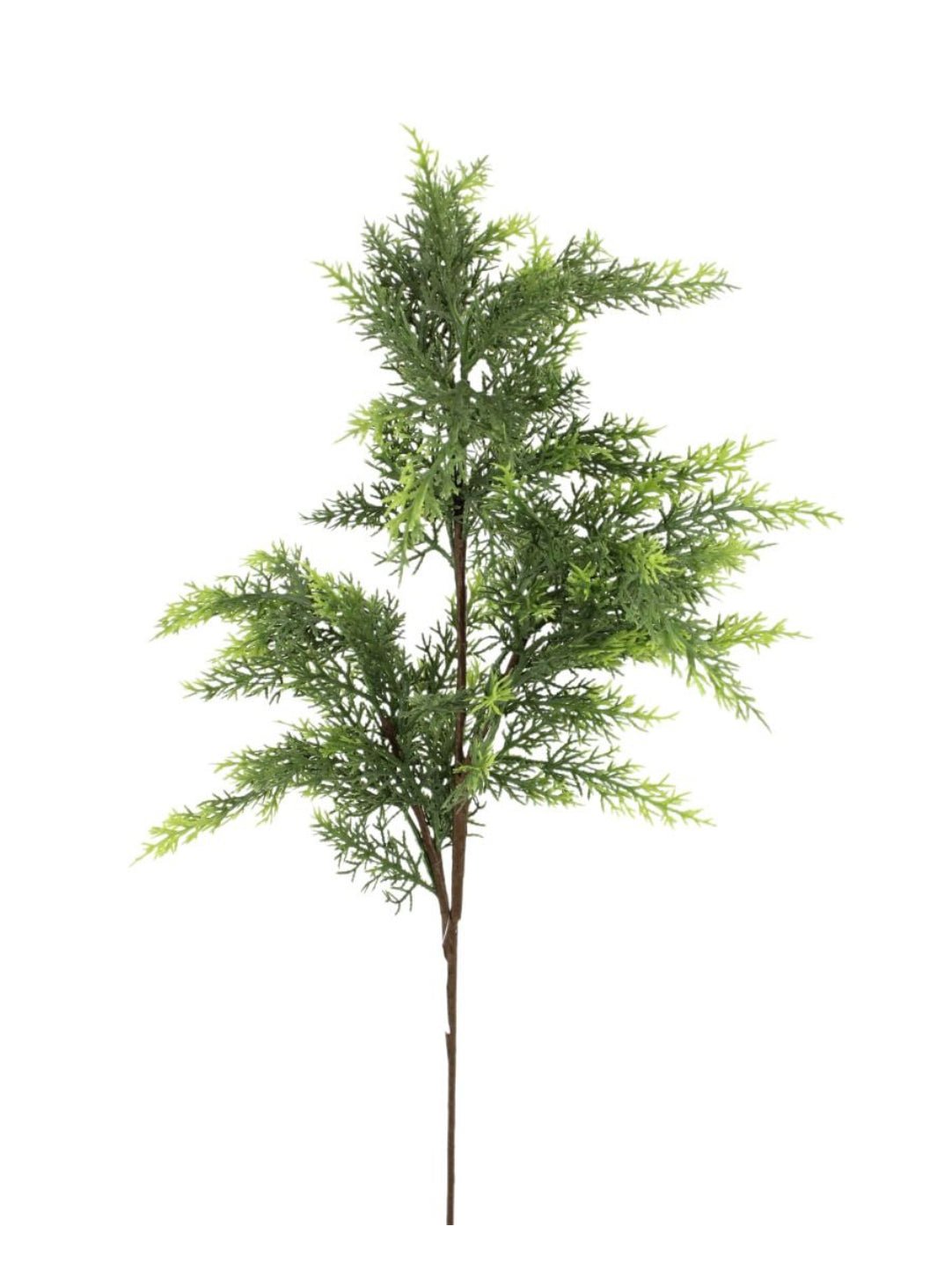 Green soft cedar spray - Greenery Market