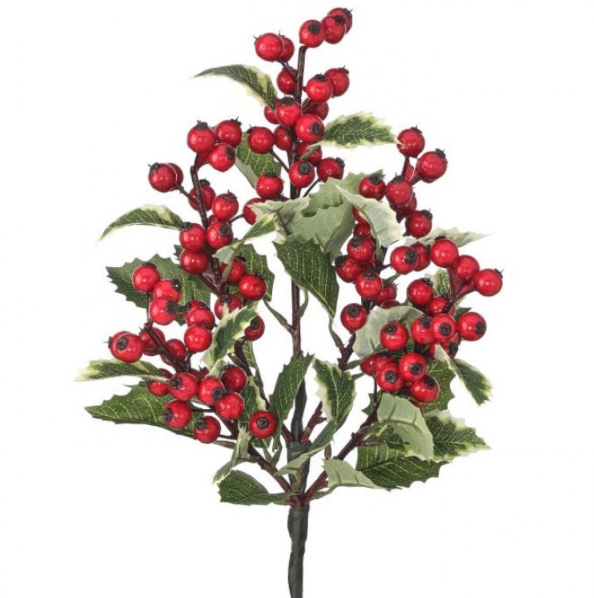 Christmas berries – Greenery Market