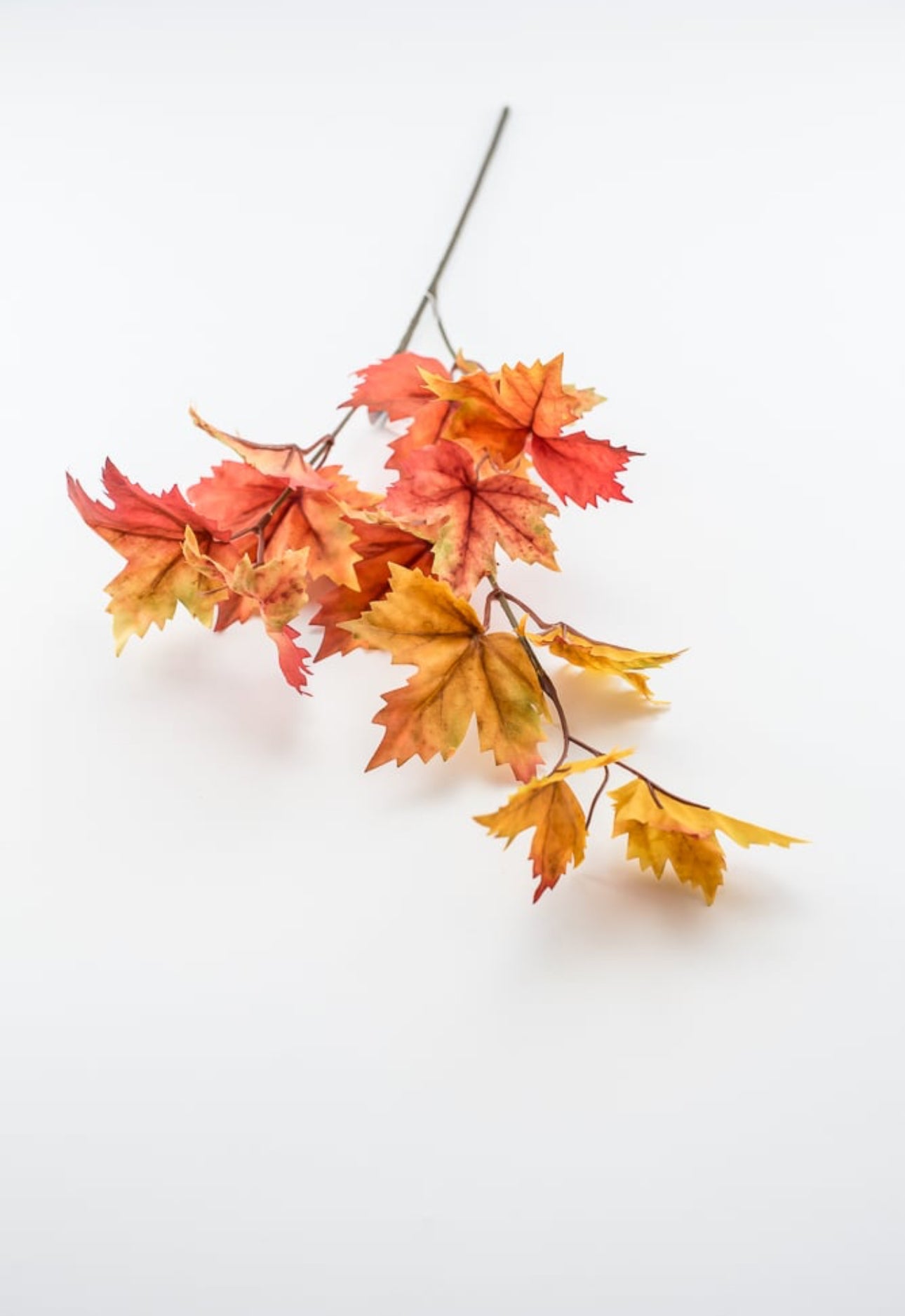 Maple leaf pick 22” - Greenery Market