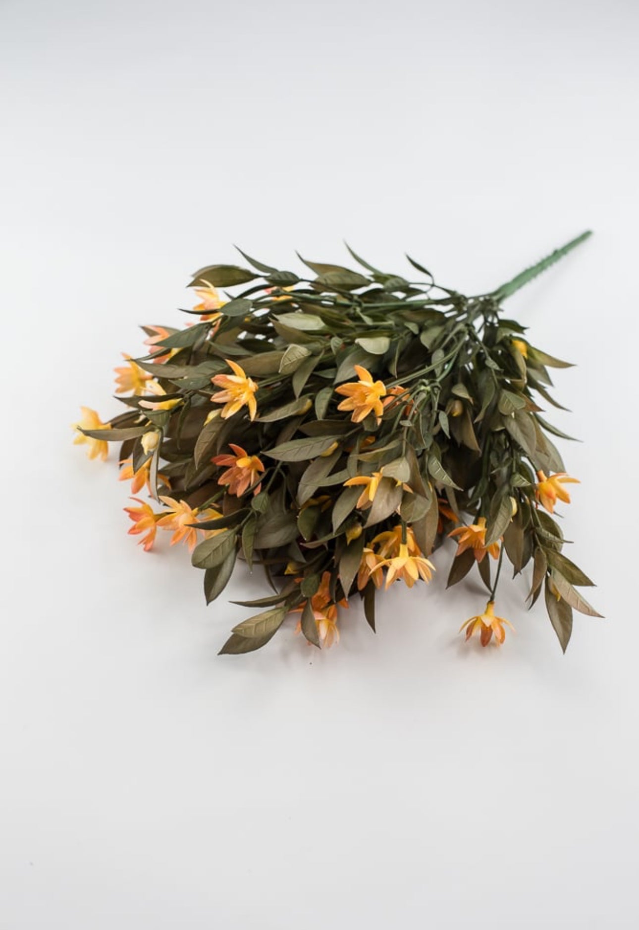 Greenery – Page 9 – Greenery Market