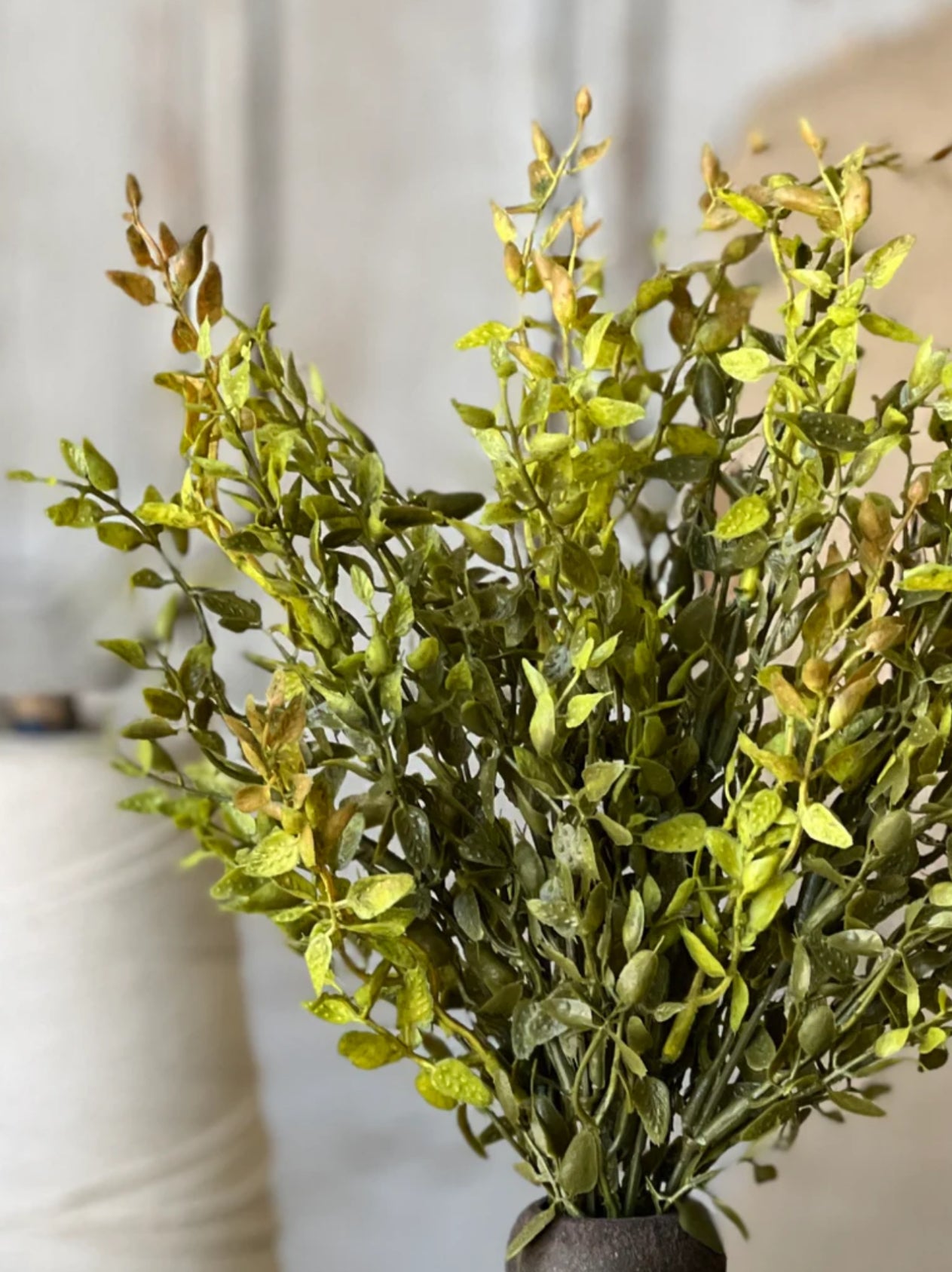 Mini leaf bush - Greenery Market