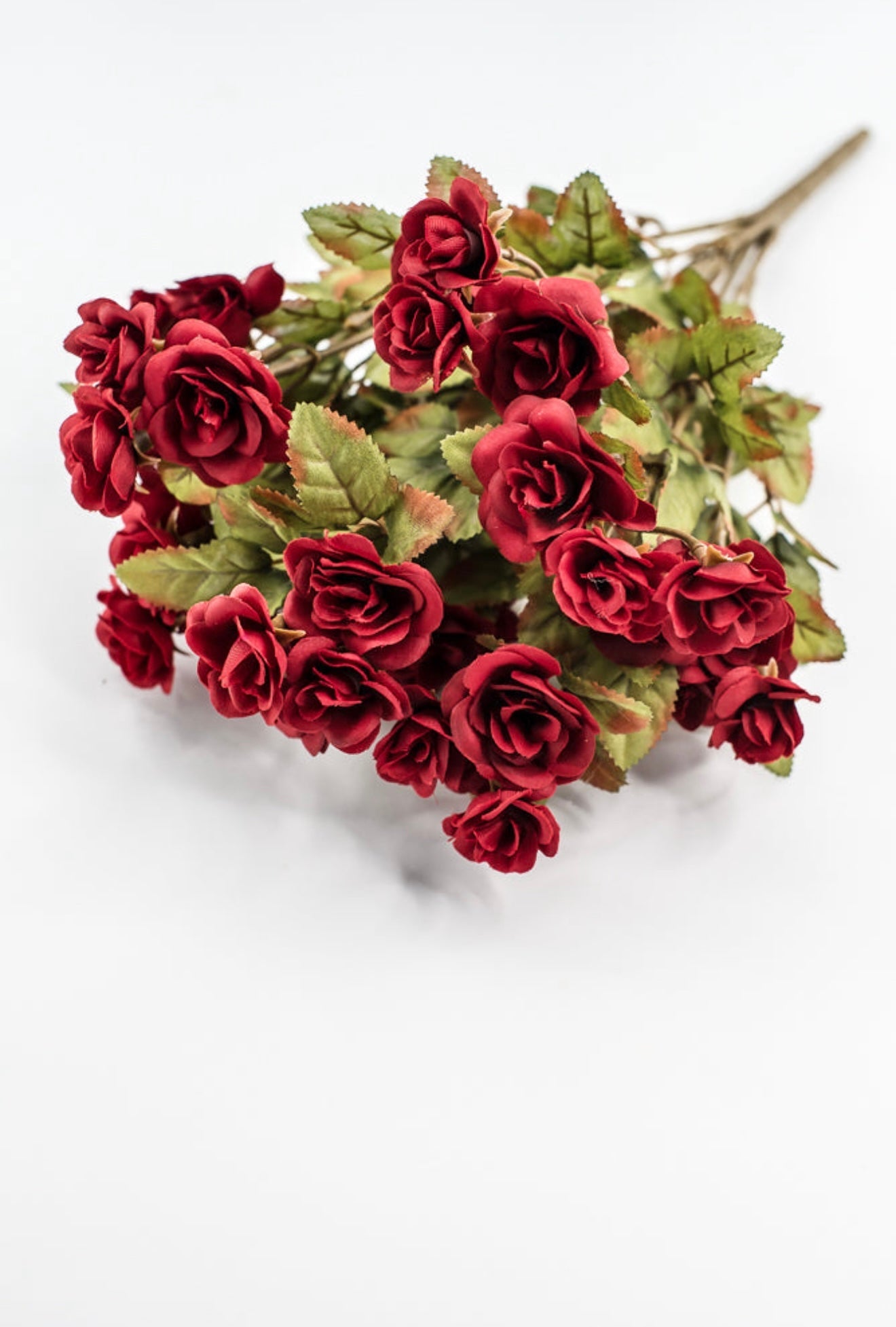 Mini Rose Bush - Red - Greenery Market