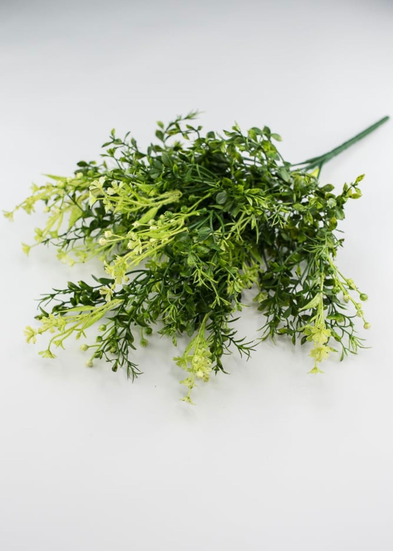 Mixed greenery - mixed boxwood and leaves bush - Greenery Market