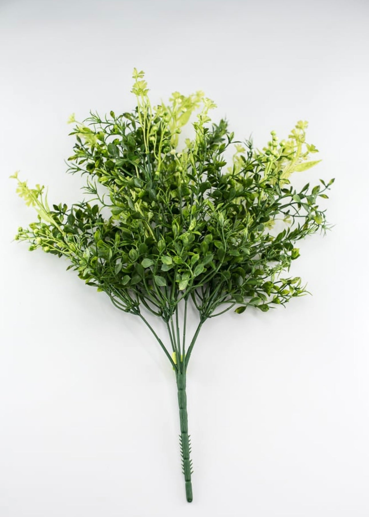 Mixed greenery - mixed boxwood and leaves bush - Greenery Market