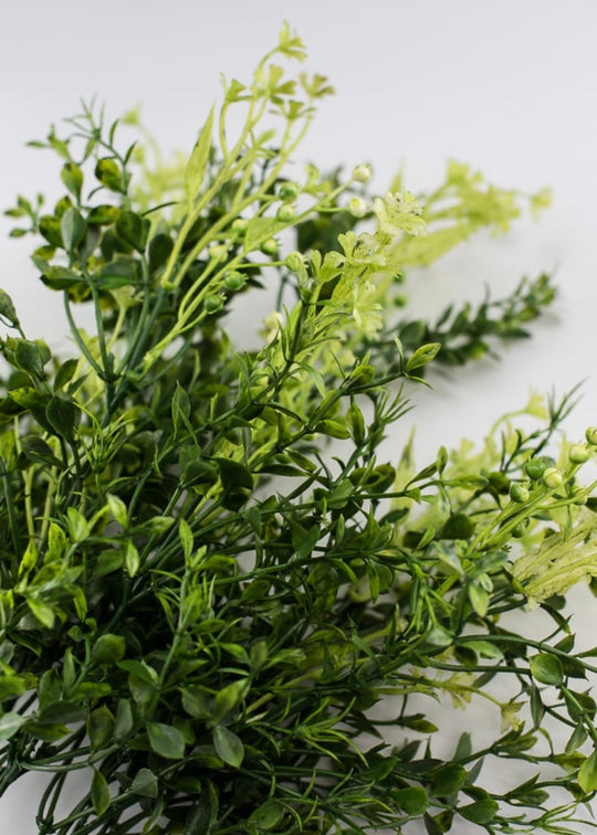 All season greenery – Page 3 – Greenery Market