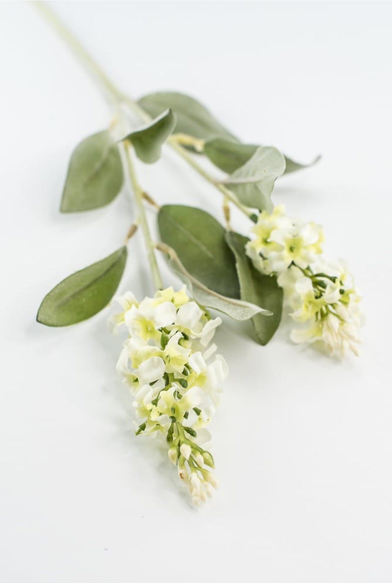 Cream Blue Bonnet Spray - Greenery Market