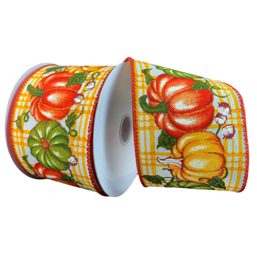 Orange and moss pumpkin wired ribbon 2.5” - Greenery Market