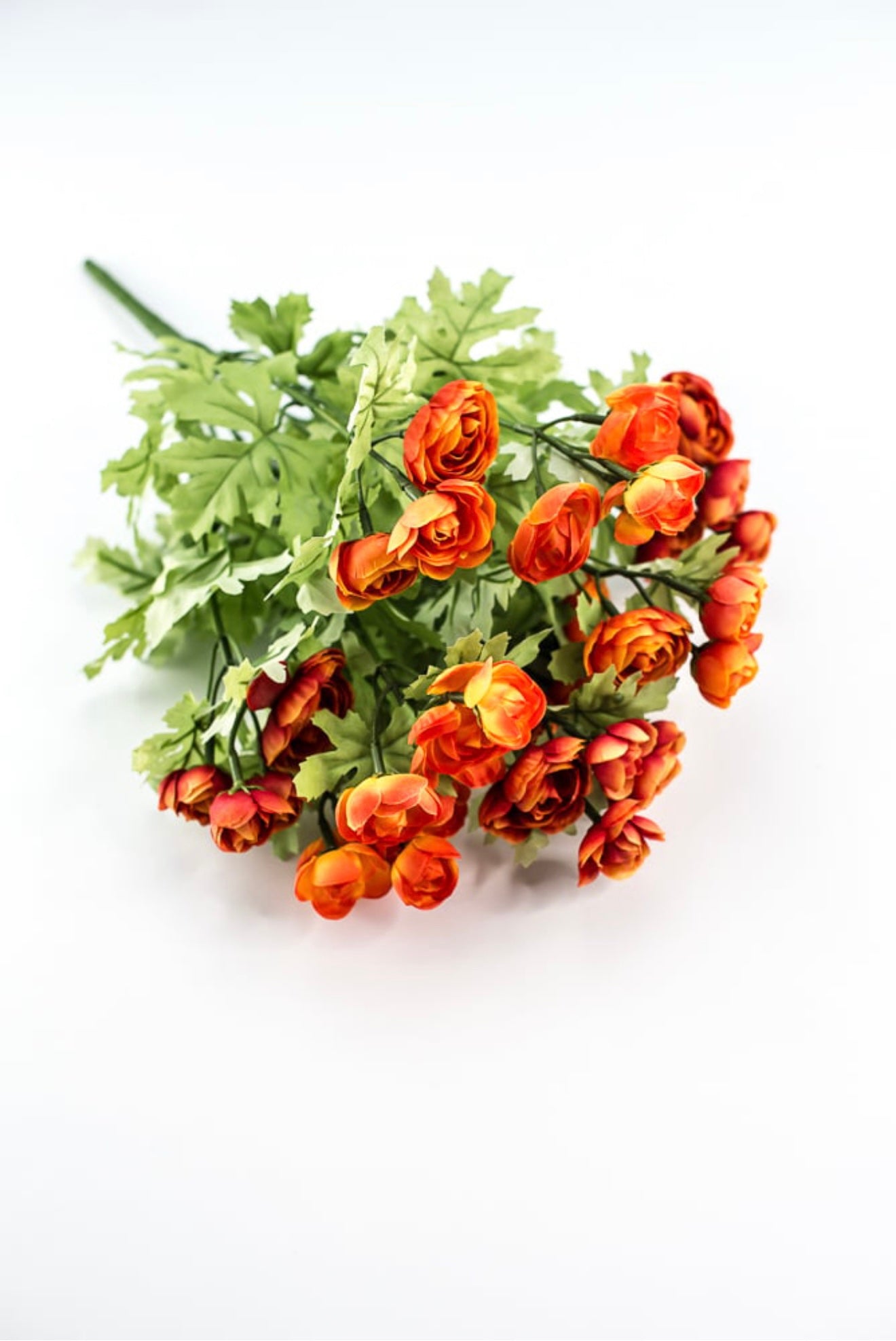 Orange mini ranunculus bush 16” - Greenery Market