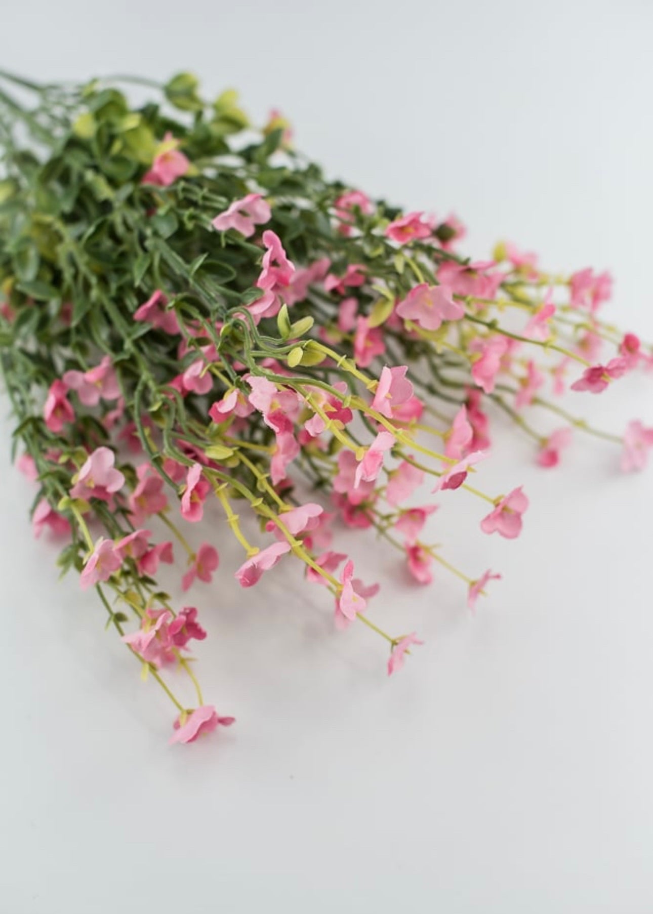 Pink filler flower and greenery bush - Greenery Market