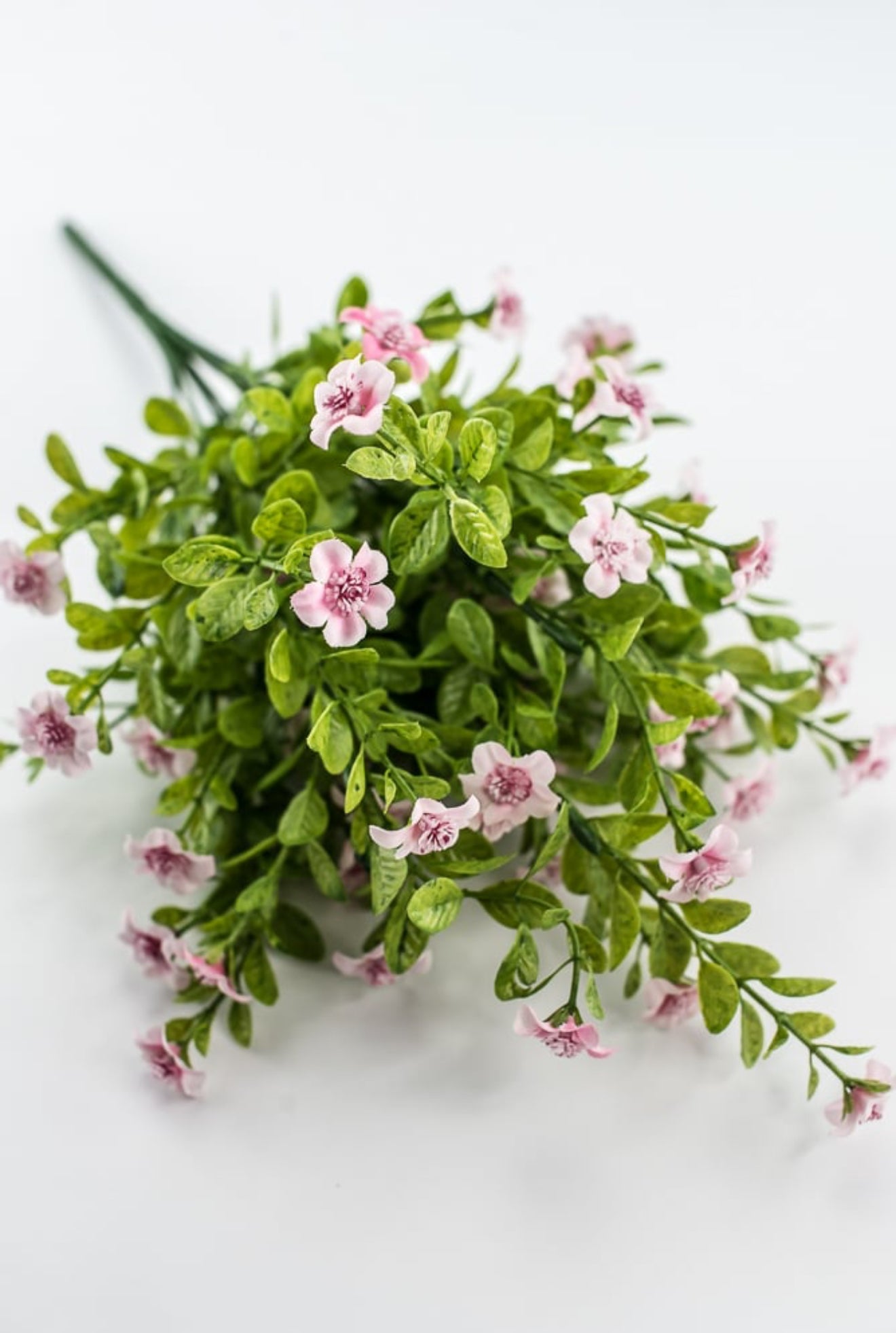 Pink filler flower bush - Greenery Market