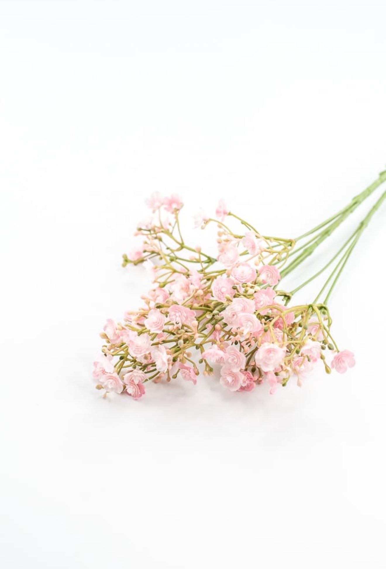 Pink Gypso Spray - Greenery Market