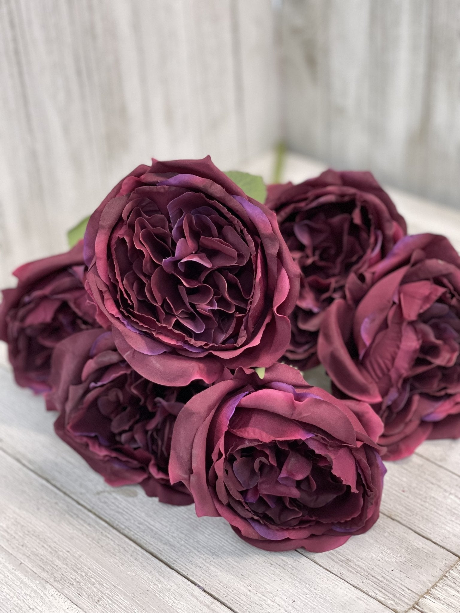 Plum English garden rose bush - Greenery Market