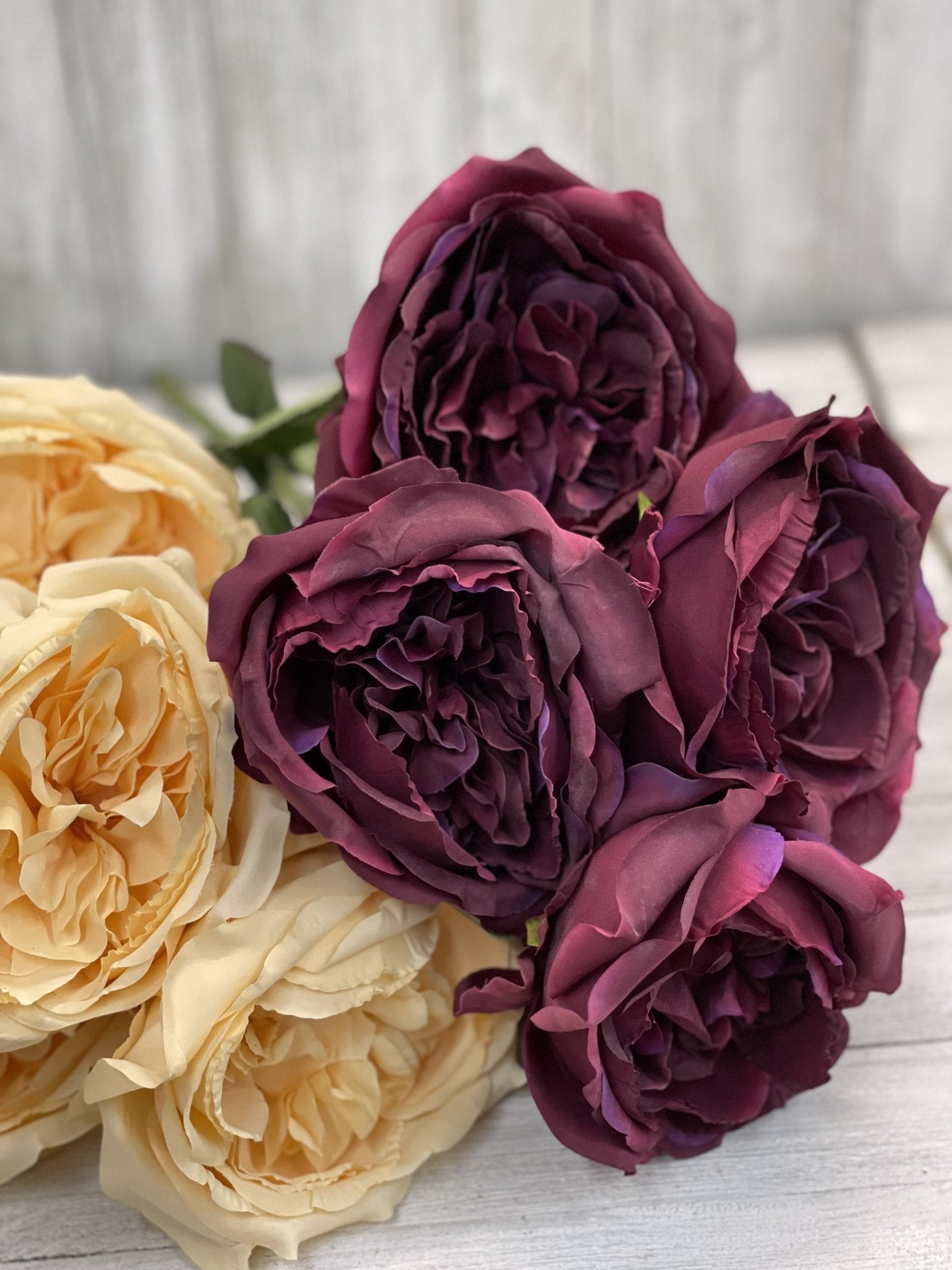 Plum English garden rose bush - Greenery Market