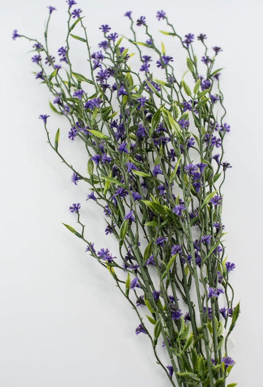 NEW – Page 12 – Greenery Market