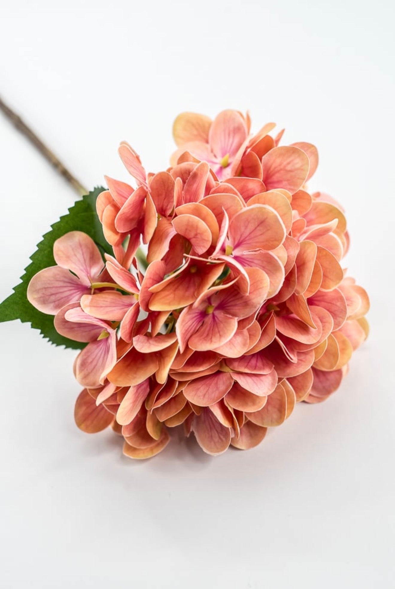 Raz Imports Coral Hydrangea Stem - 18" - Greenery Market