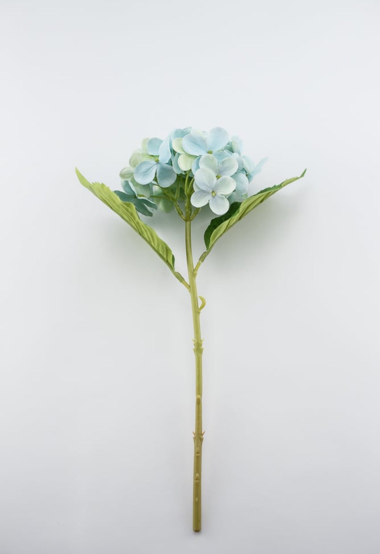 Real touch, Hydrangea stem - aqua - Greenery Market