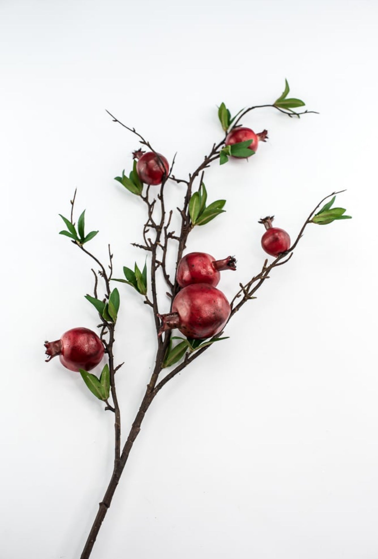 Red pomegranate spray - Greenery Market