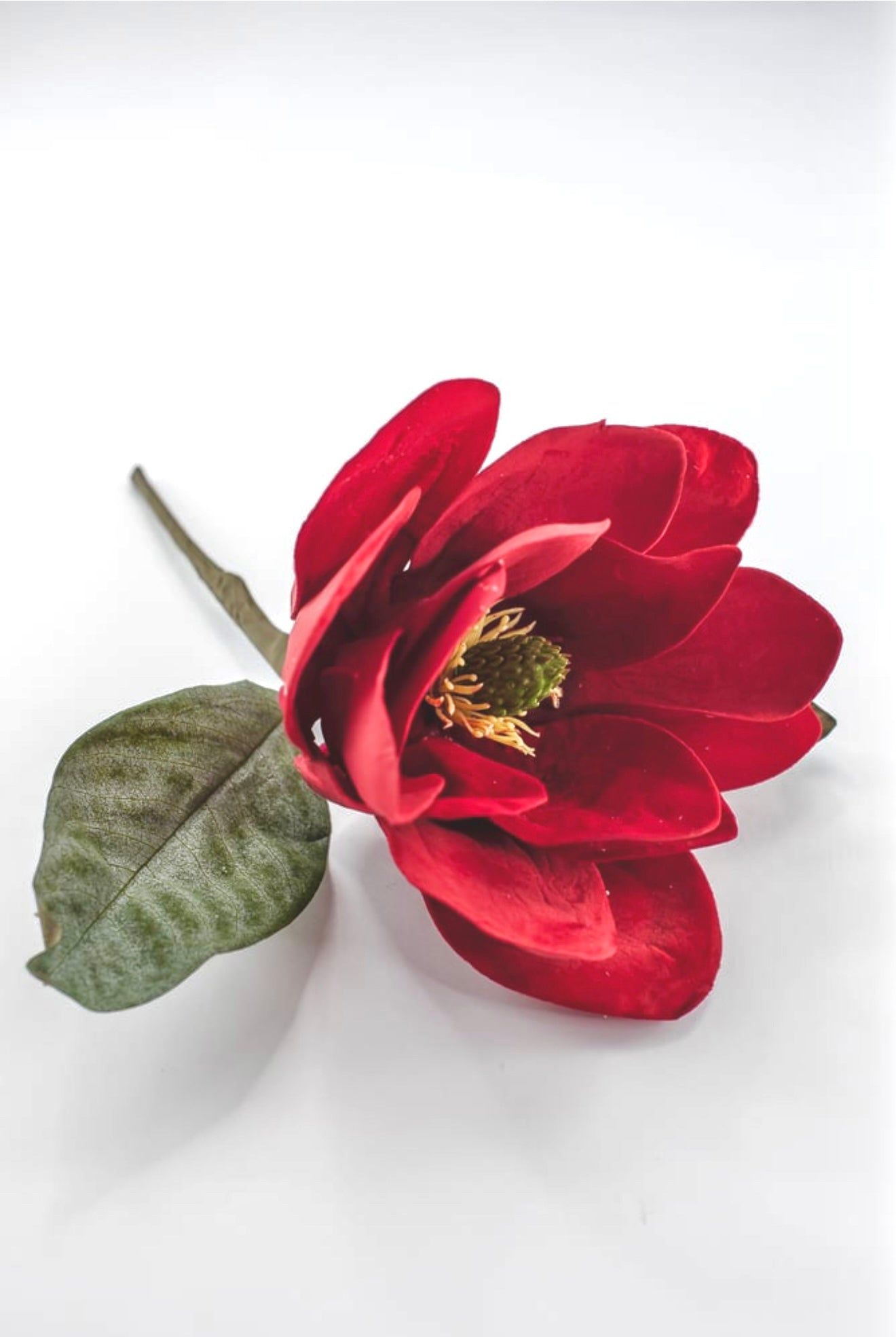 Red Velvet Magnolia Pick - 12" - Greenery Market