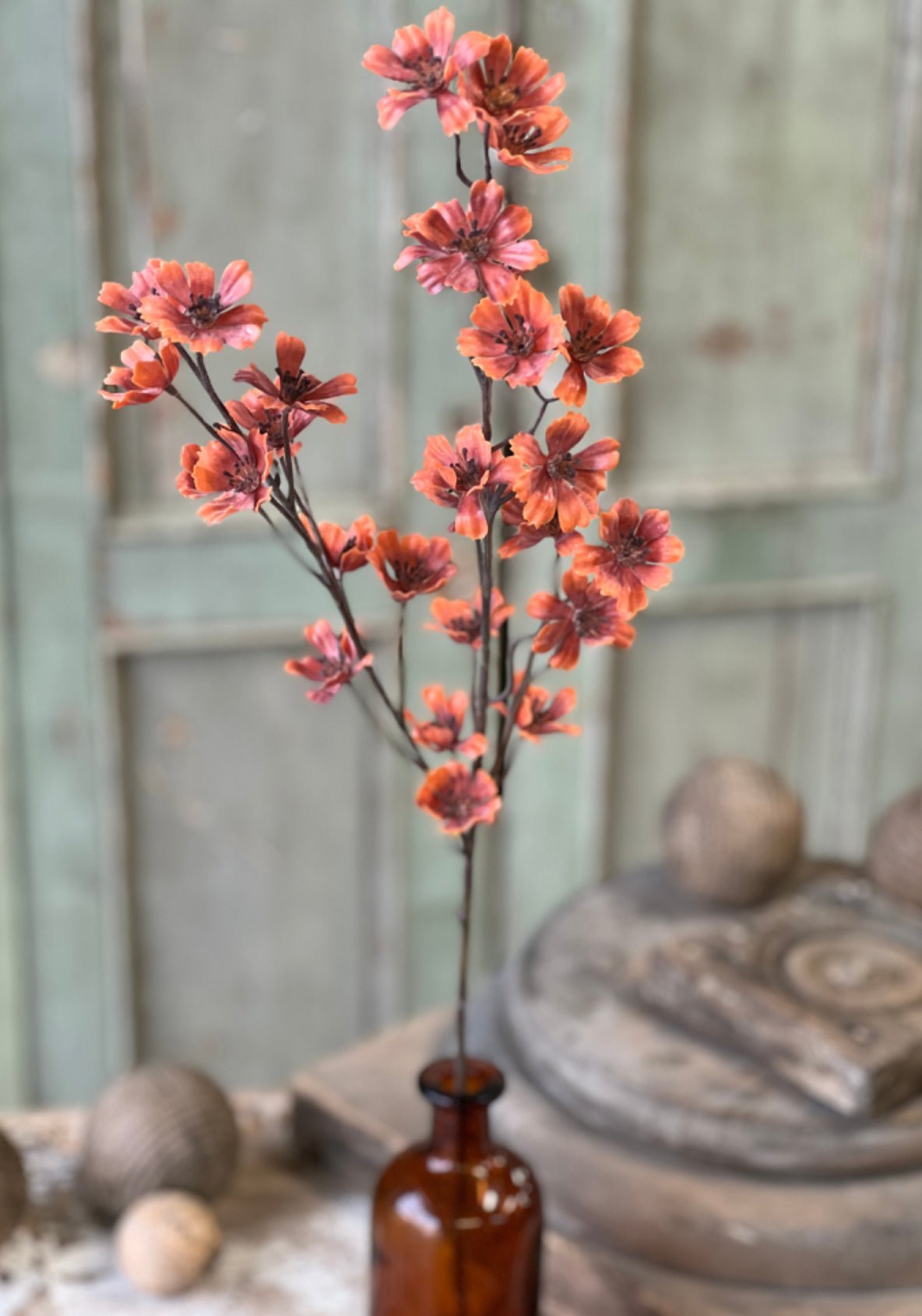 Rust cosmos spray - Greenery Market