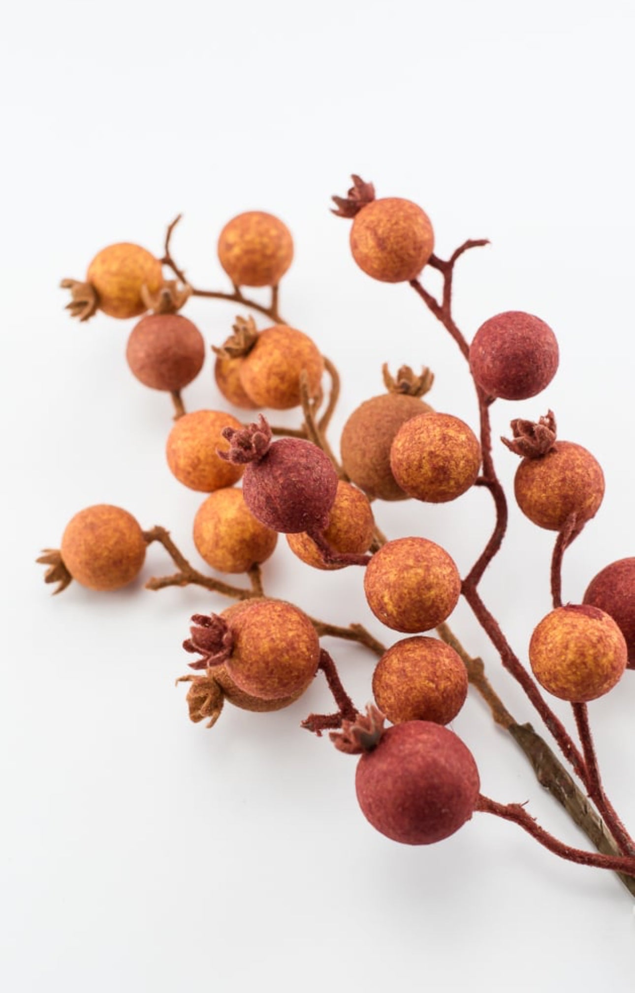 Rust fuzzy crabapple berry pick - Greenery Market