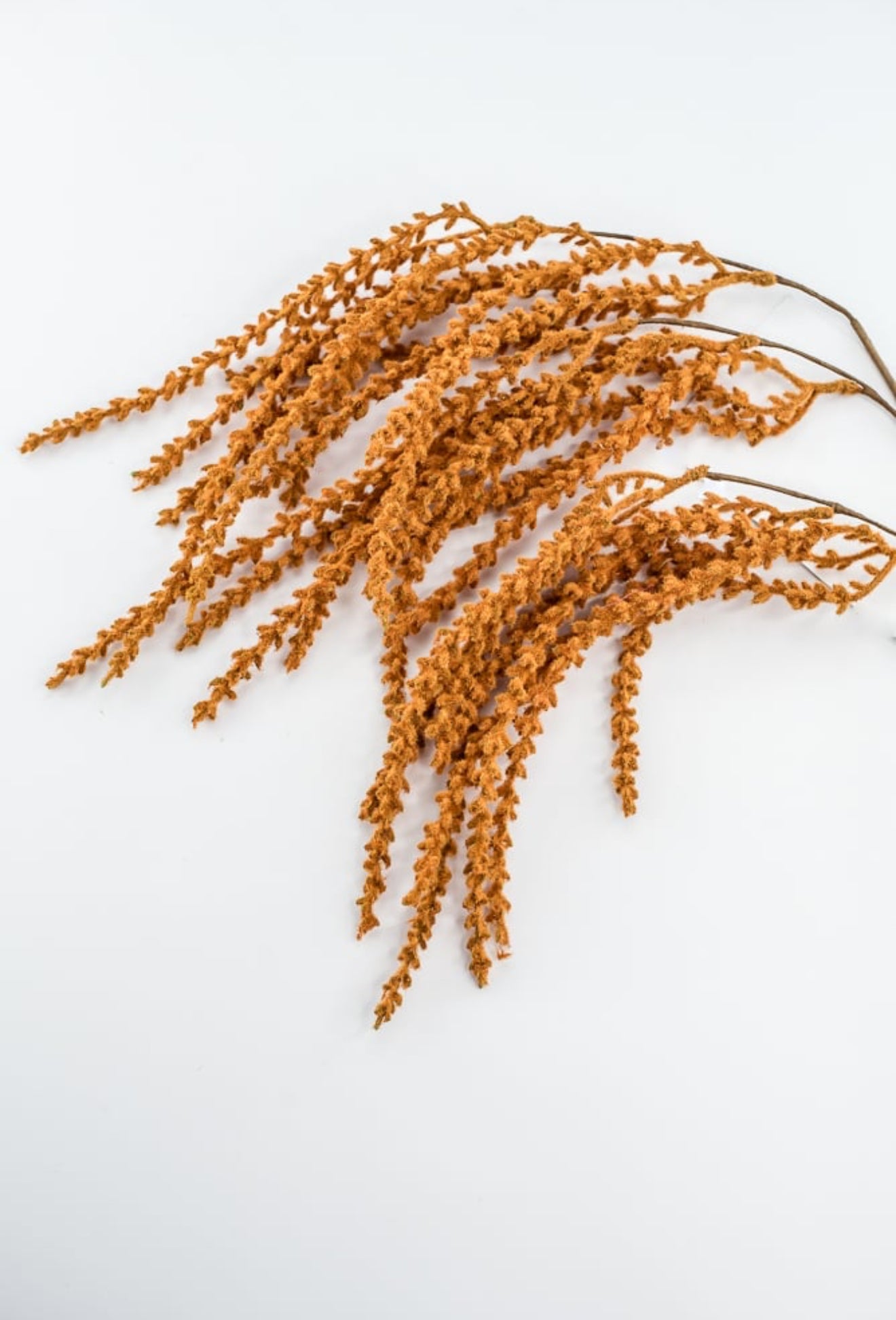 Rust Hanging Feather Reed Spray - Greenery Market