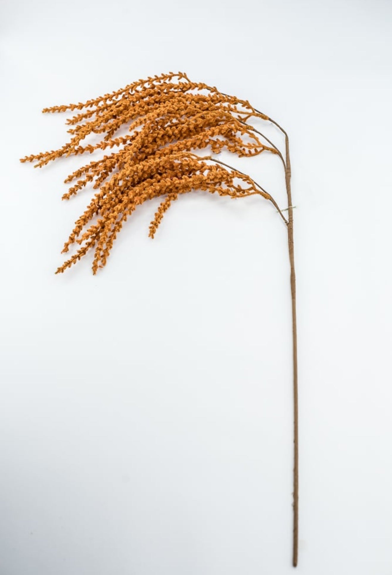 Rust Hanging Feather Reed Spray - Greenery Market