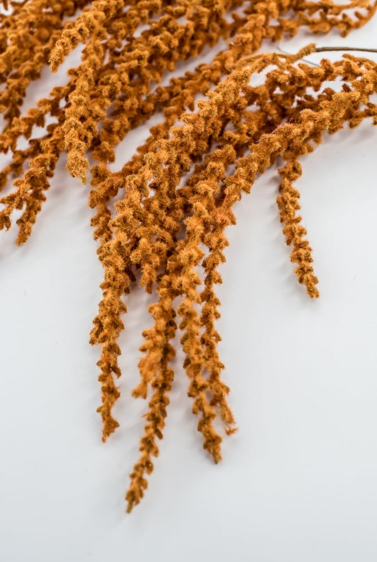 Rust Hanging Feather Reed Spray - Greenery Market