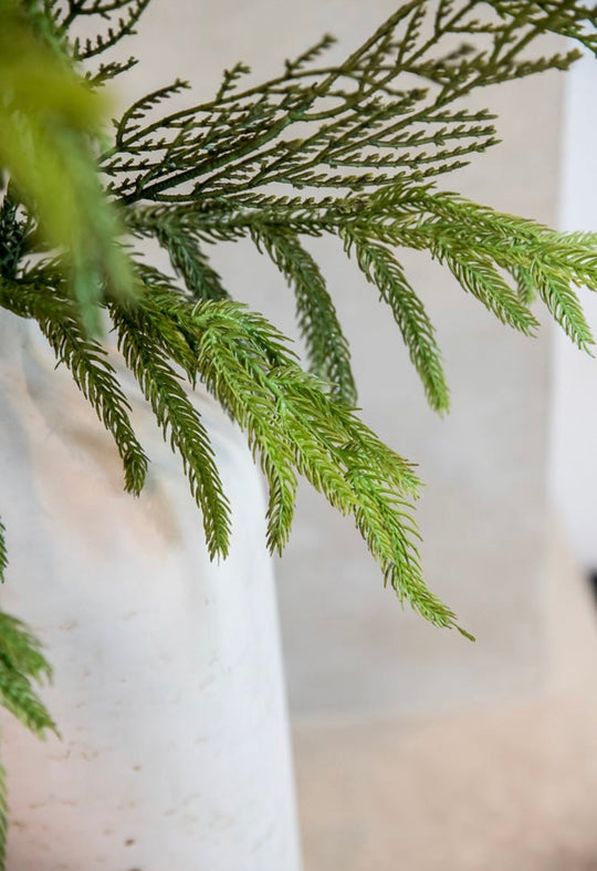 Soft touch, artificial, norfolk and cedar pine bundle - Greenery Market