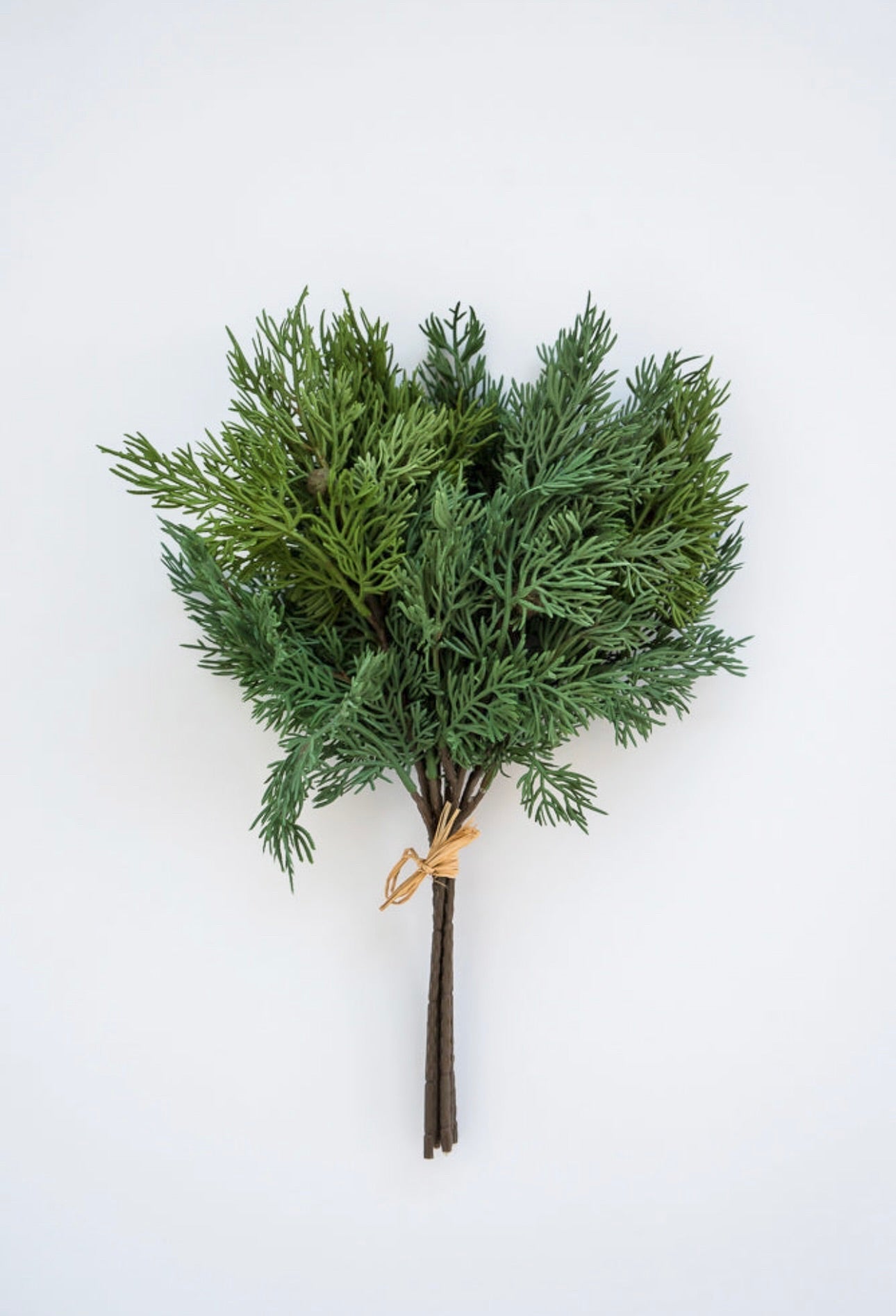 Soft touch Cypress bundle x 5 sprays - Greenery Market