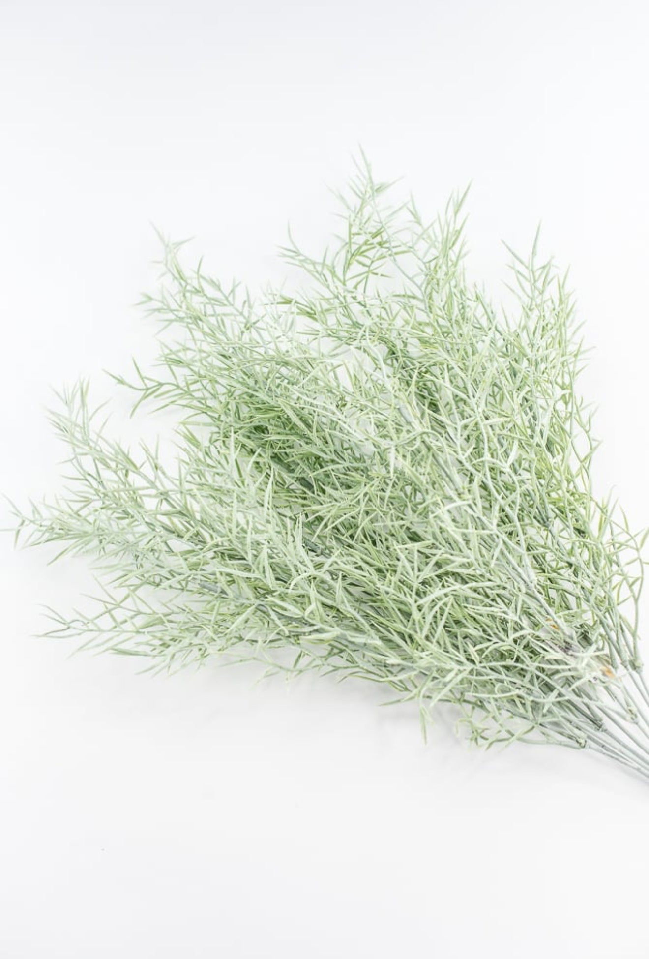 Springeri Greenery bush, dusty green - Greenery Market