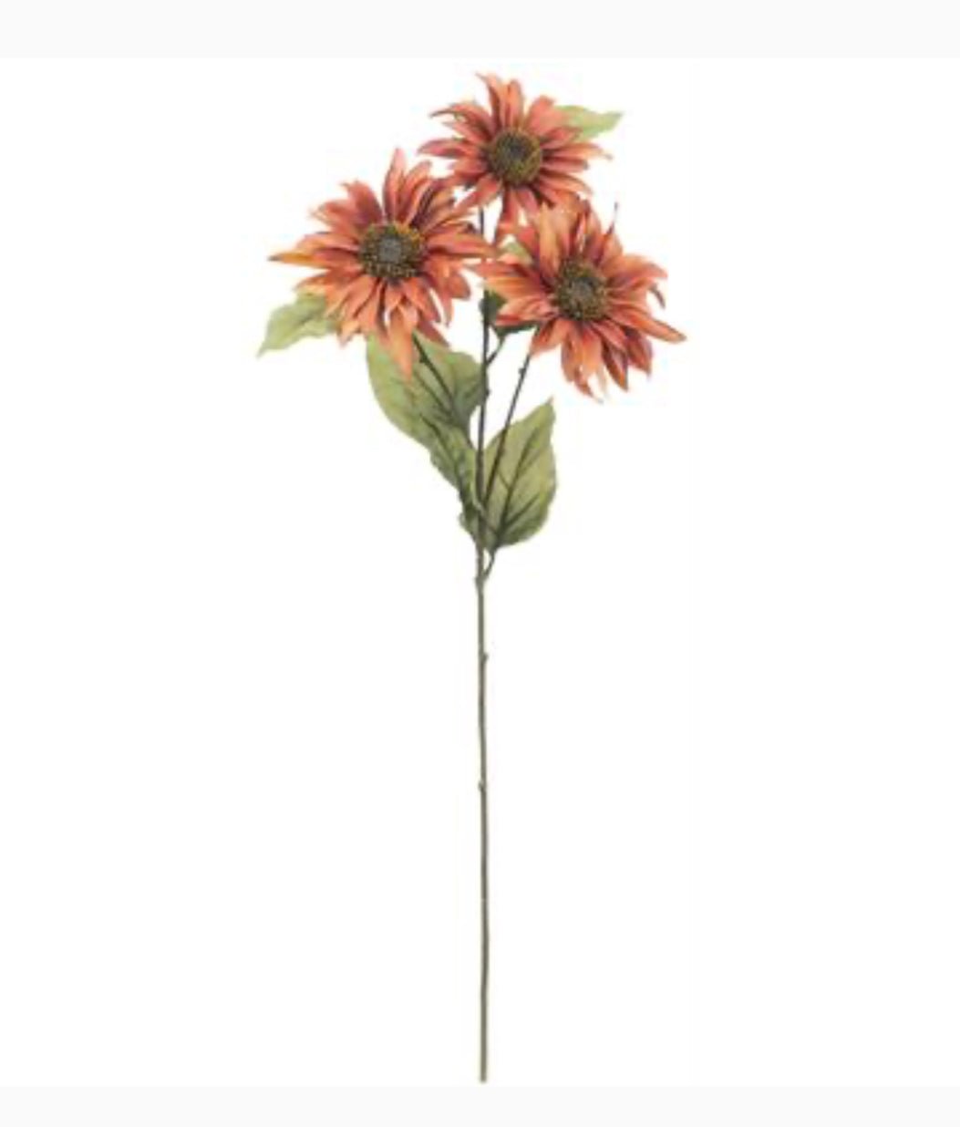 Sunflower spray - Greenery Market