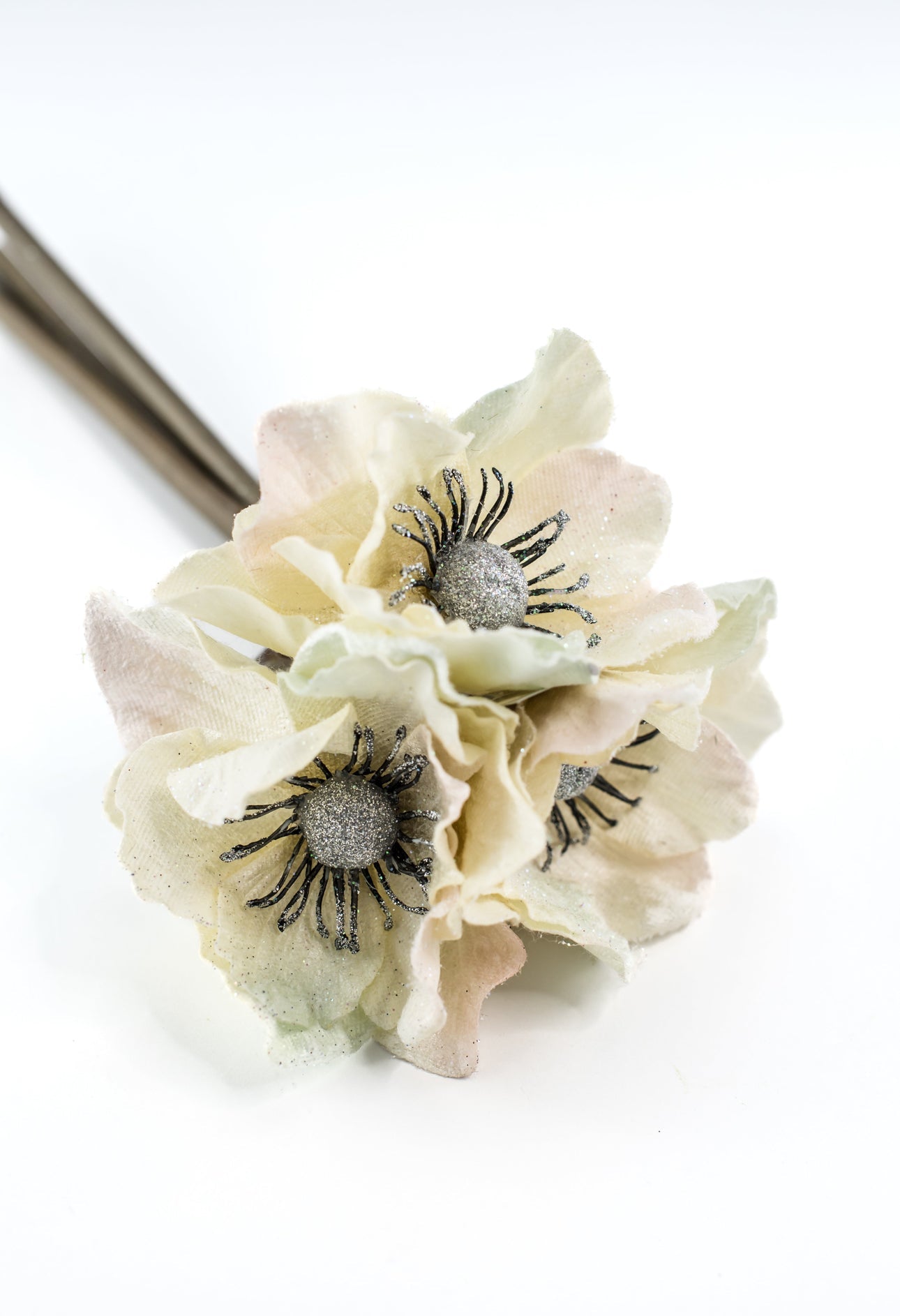 Frosted anemone bundle - cream - Greenery Market