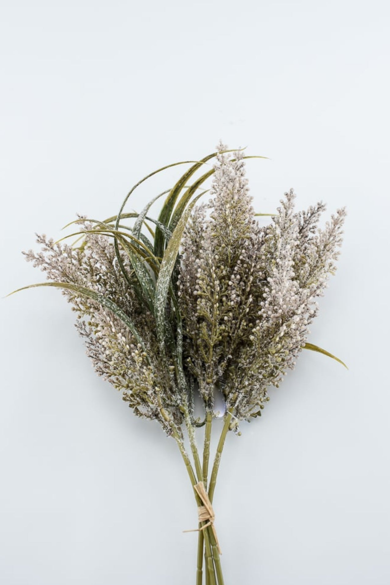 Wheat grass bundle - light brown - Greenery Market