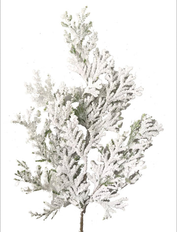 Winter Greenery – Greenery Market