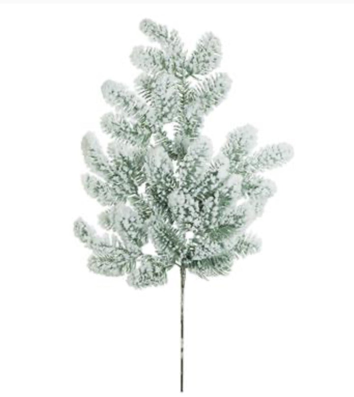 Winter Greenery – Greenery Market