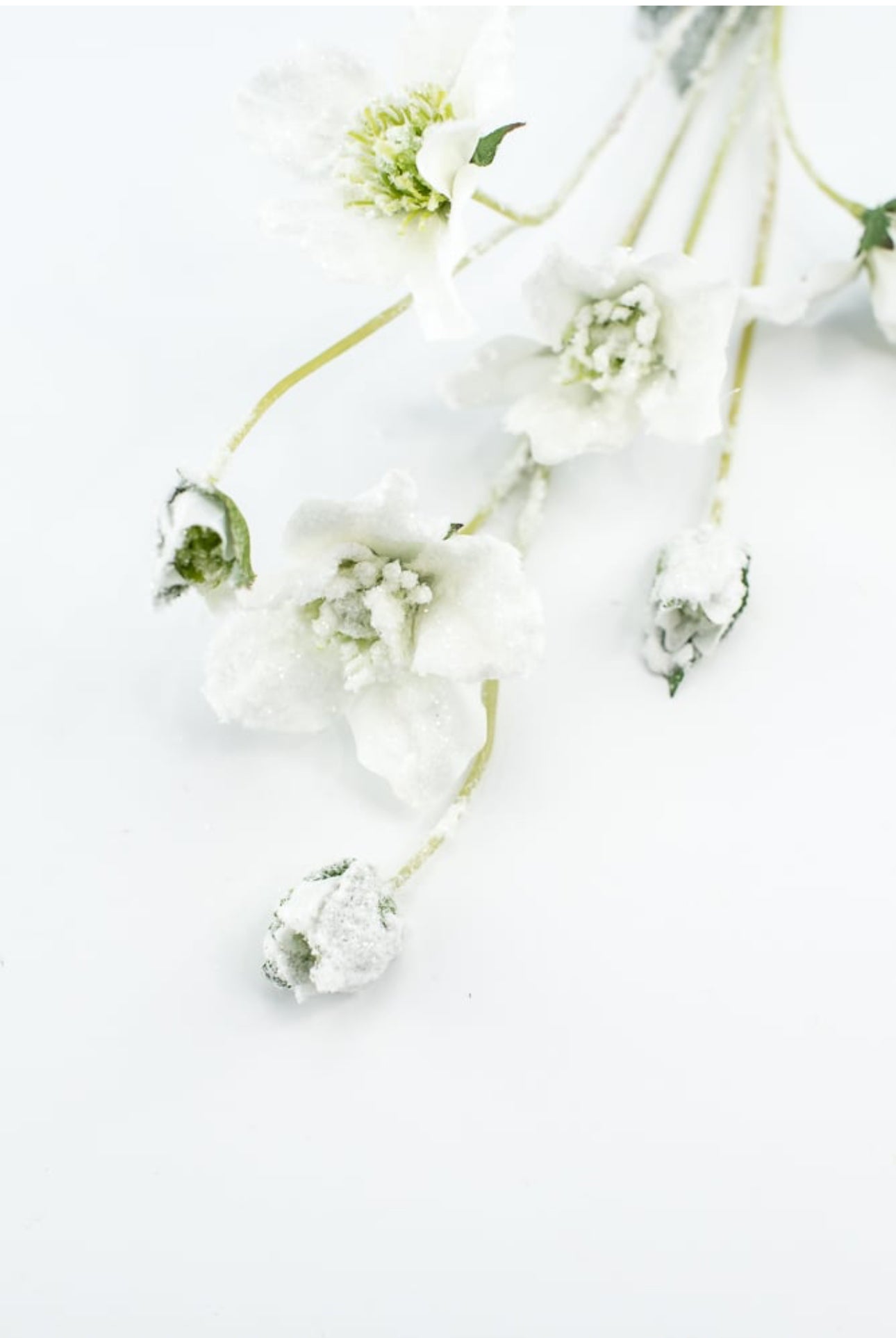 Winter flocked and Frosted snowy rose spray - Greenery Market