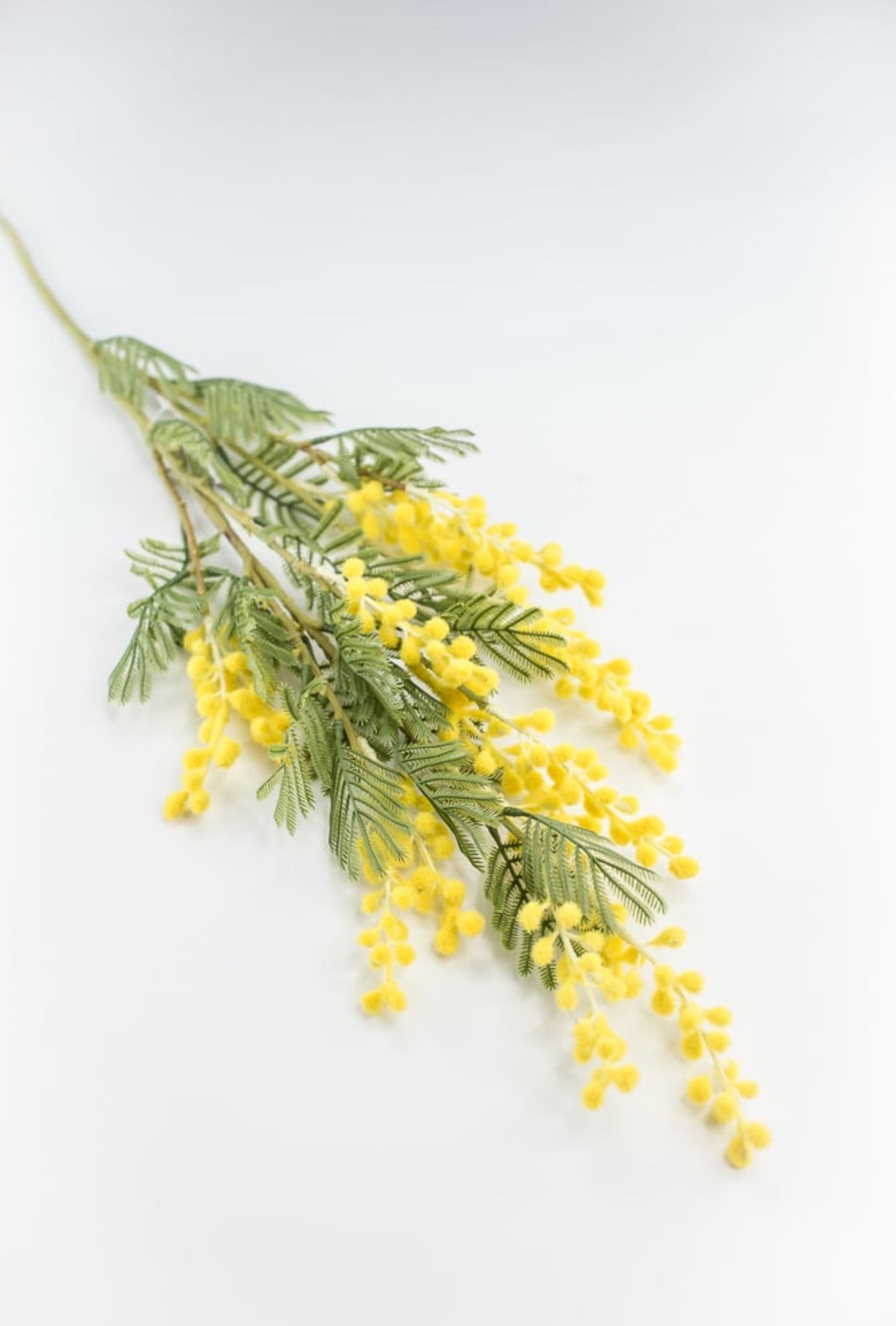 Yellow Mimosa Spray - Greenery Market