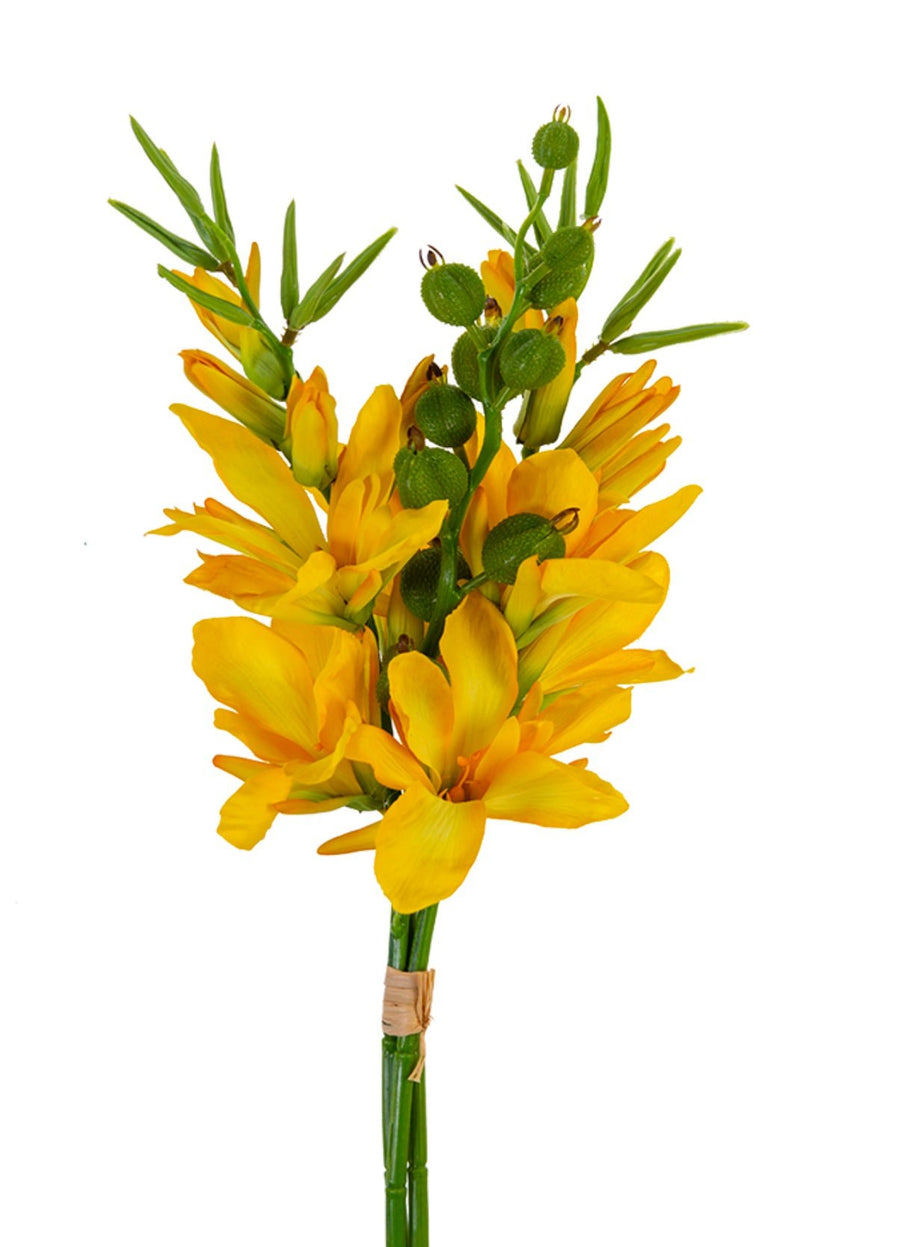 Easter sunshine – Greenery Market