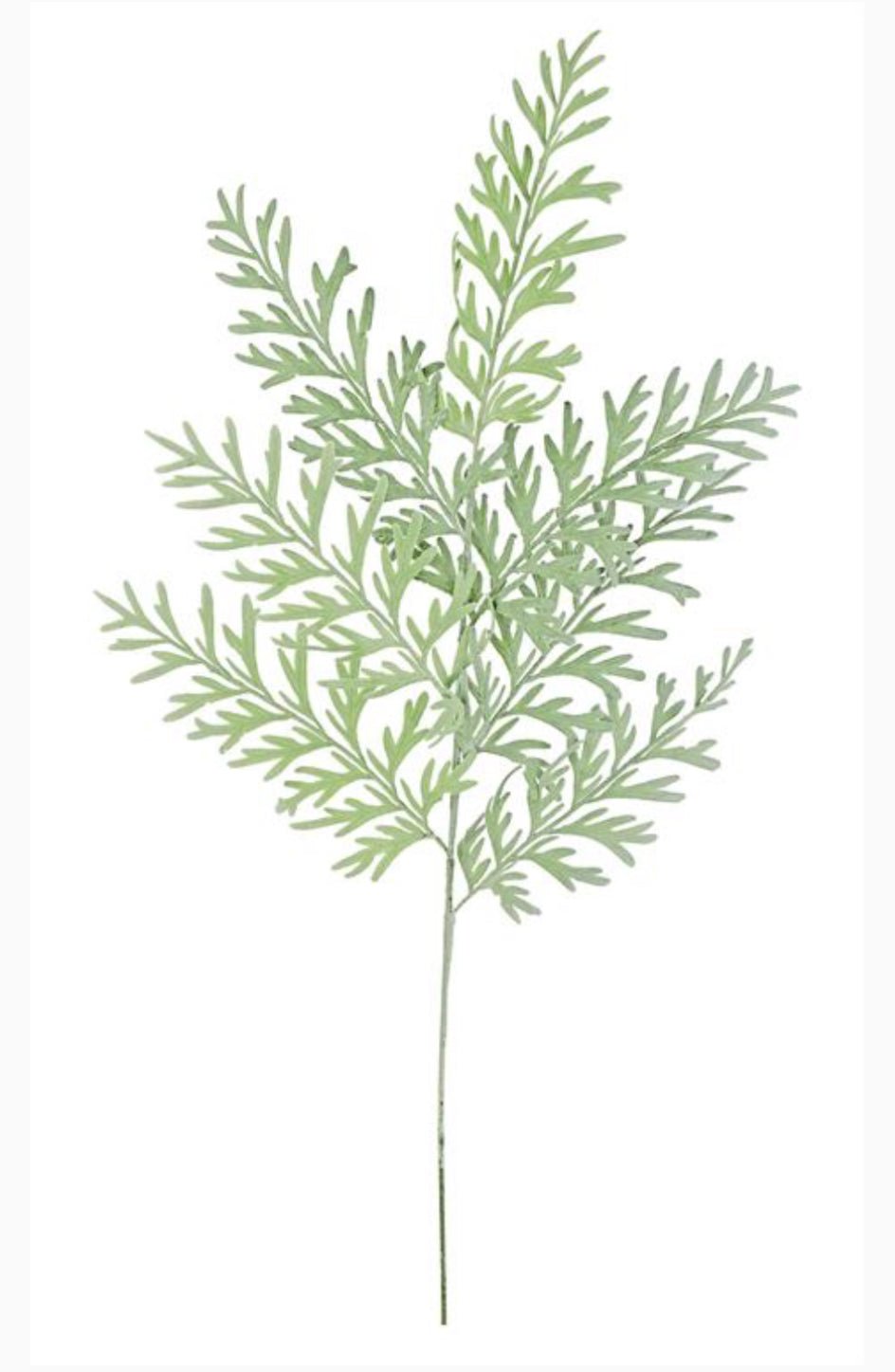 Greenery – Greenery Market