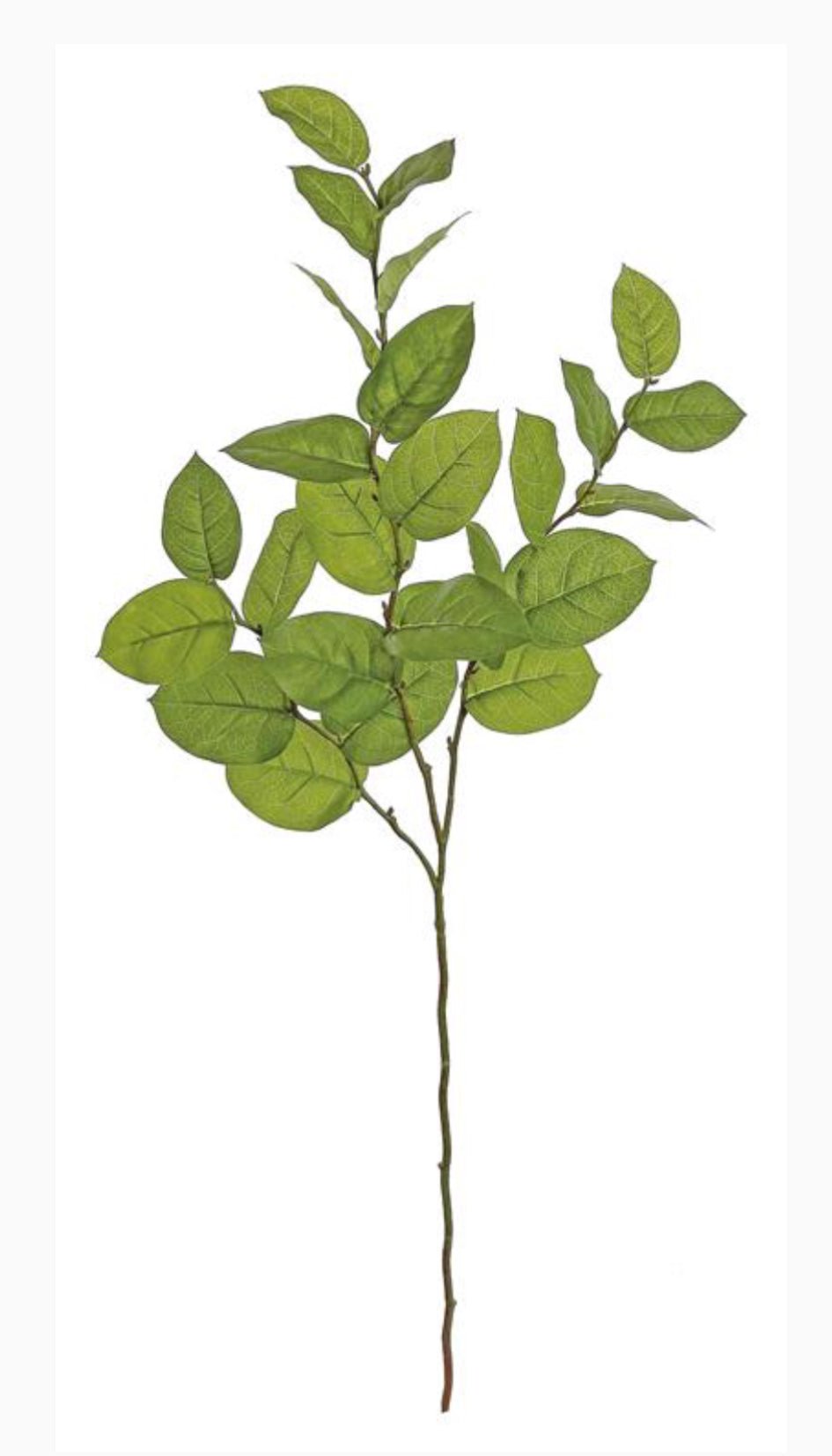 Artificial salal leaf spray - Greenery Market