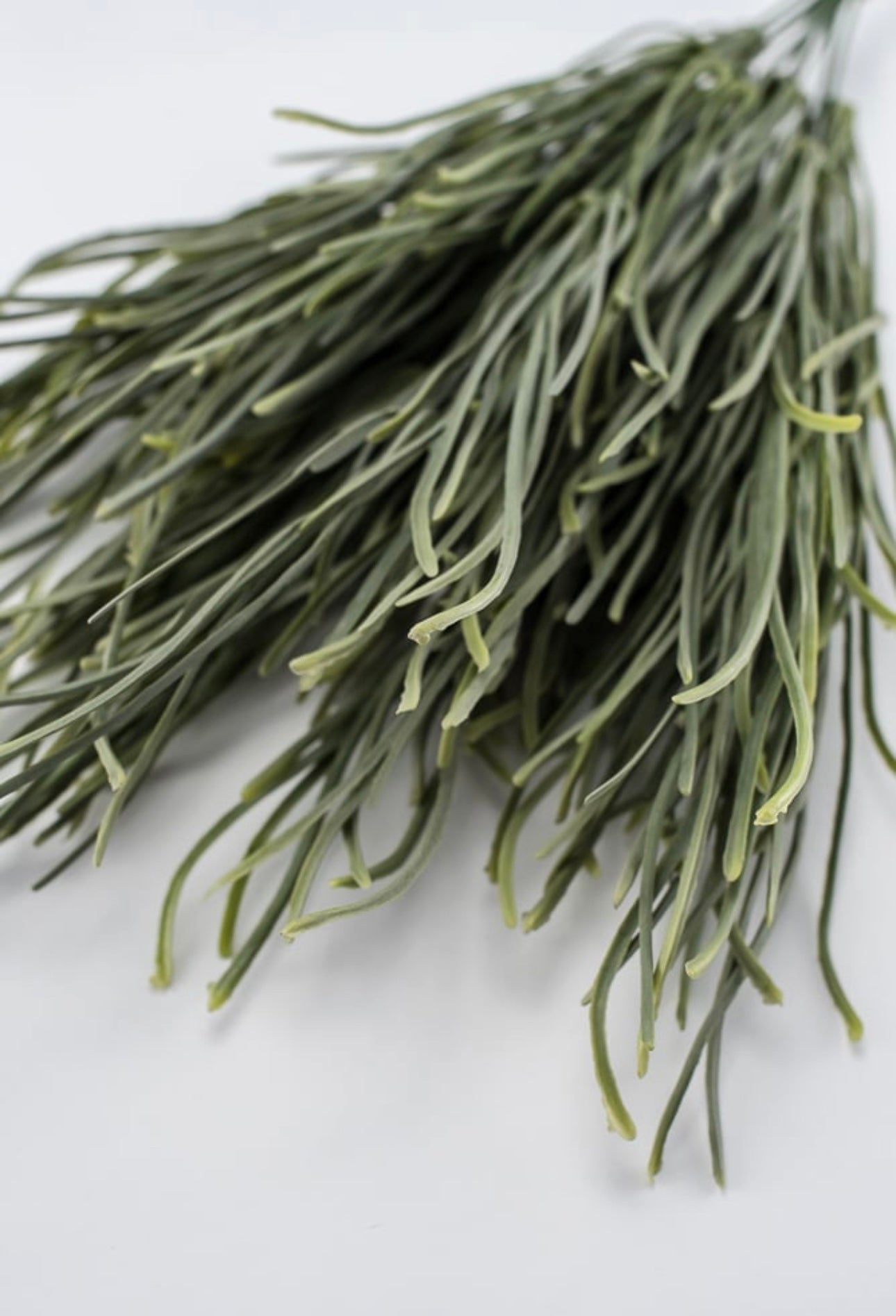 Artificial wavy leaves bush - Greenery Market