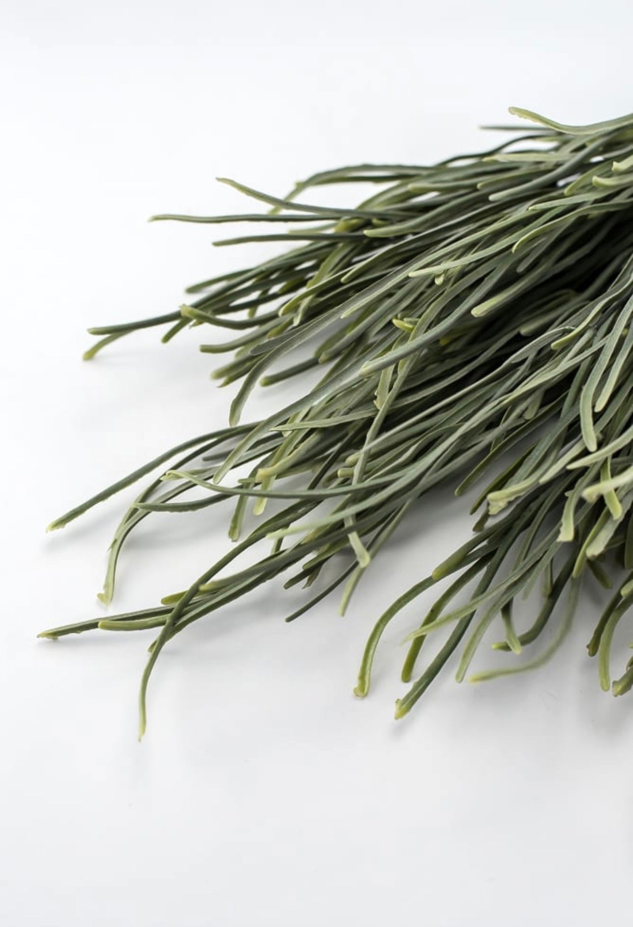 Artificial wavy leaves bush - Greenery Market