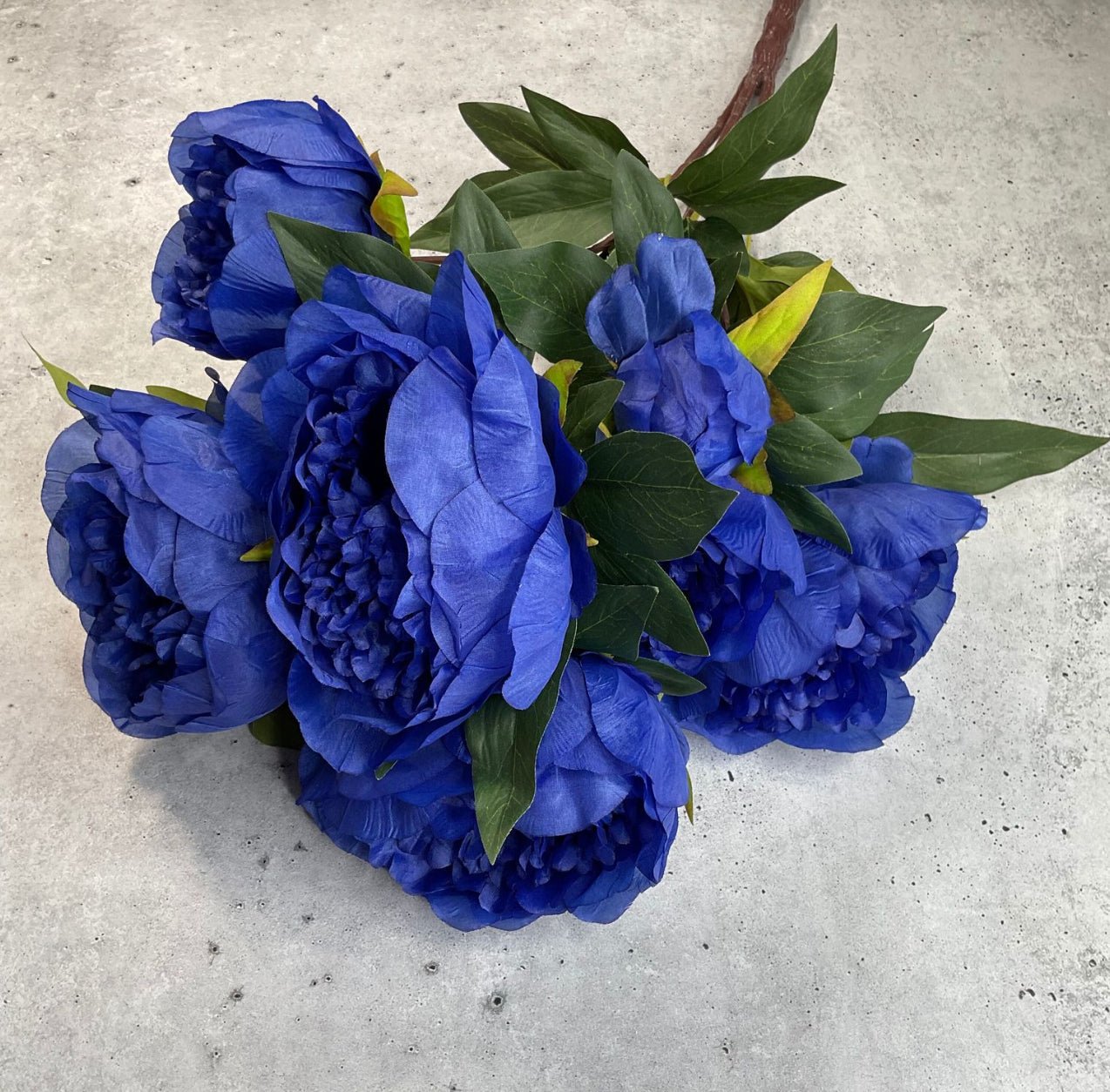 Blue garden peony bush - Greenery Market