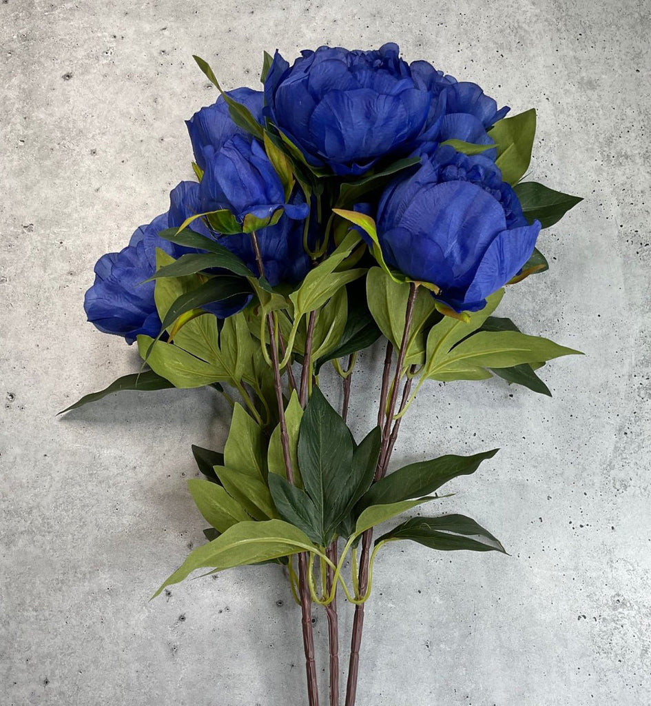 Blue garden peony bush - Greenery Market
