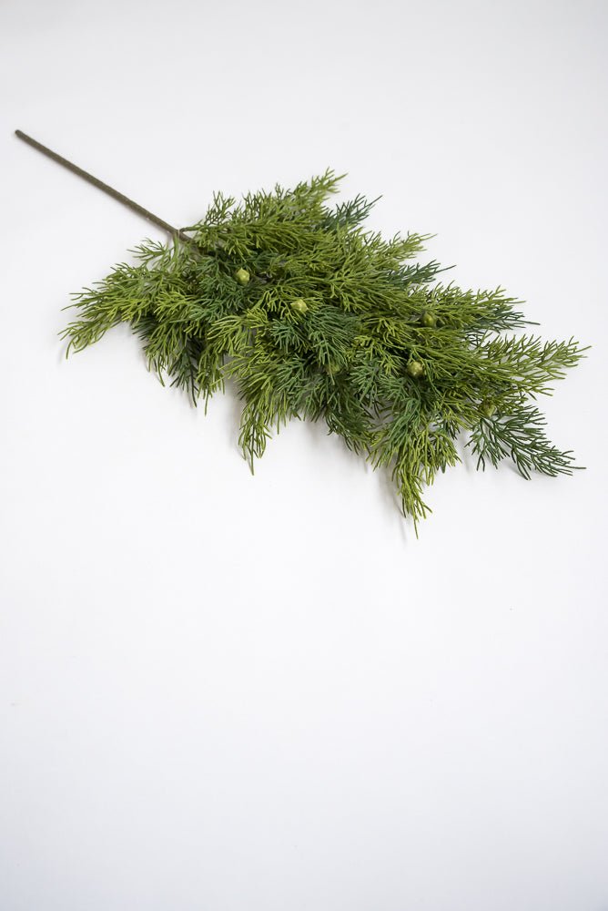 Cedar spray - Greenery Market