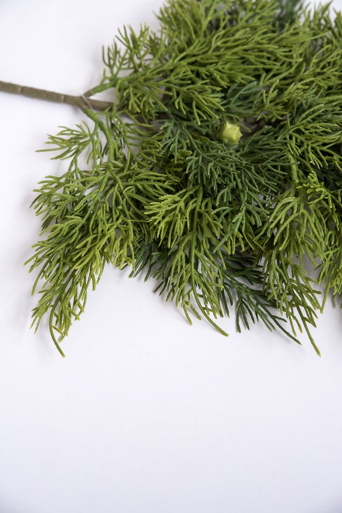 Cedar spray - Greenery Market