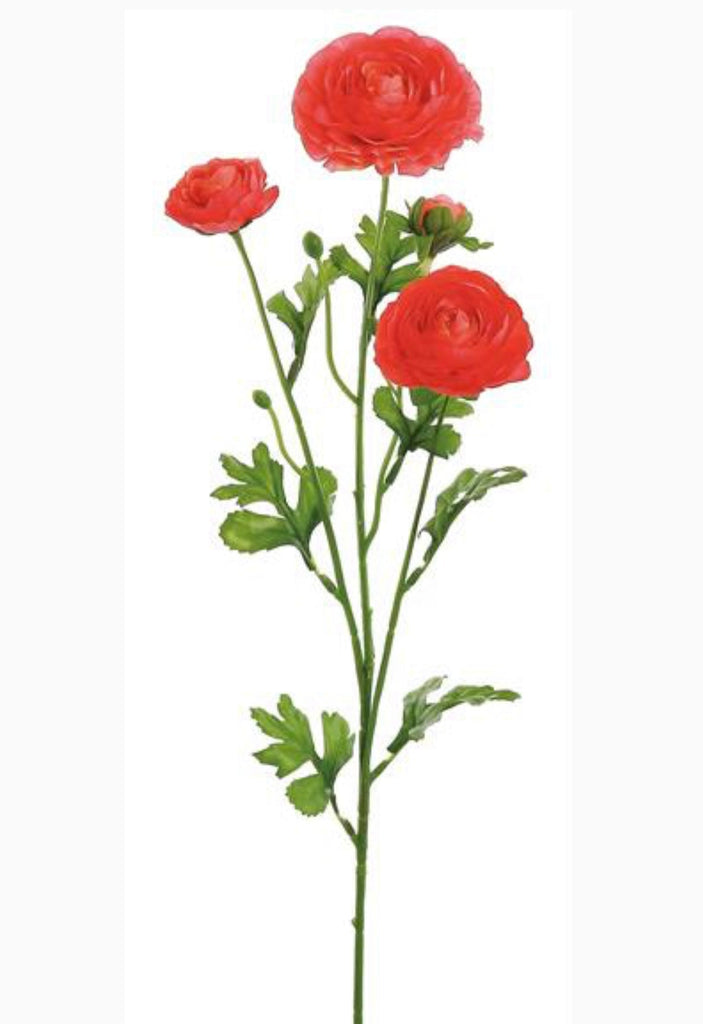 Coral ranunculus spray - Greenery Market