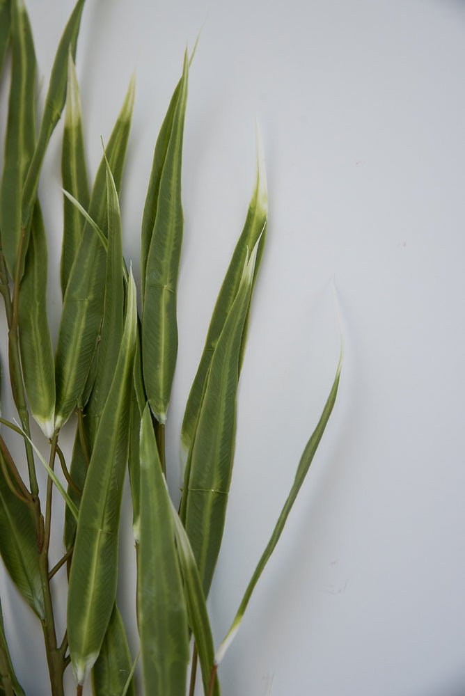 Eucalyptus greenery spray - Greenery Market